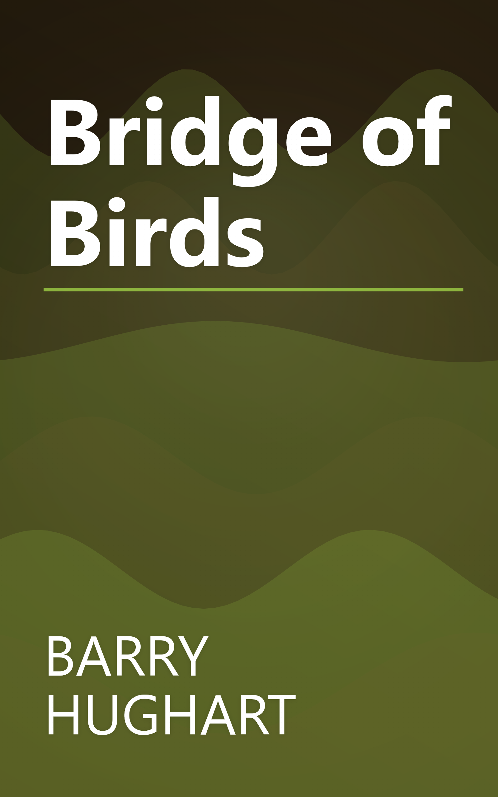 Bridge of Birds book cover