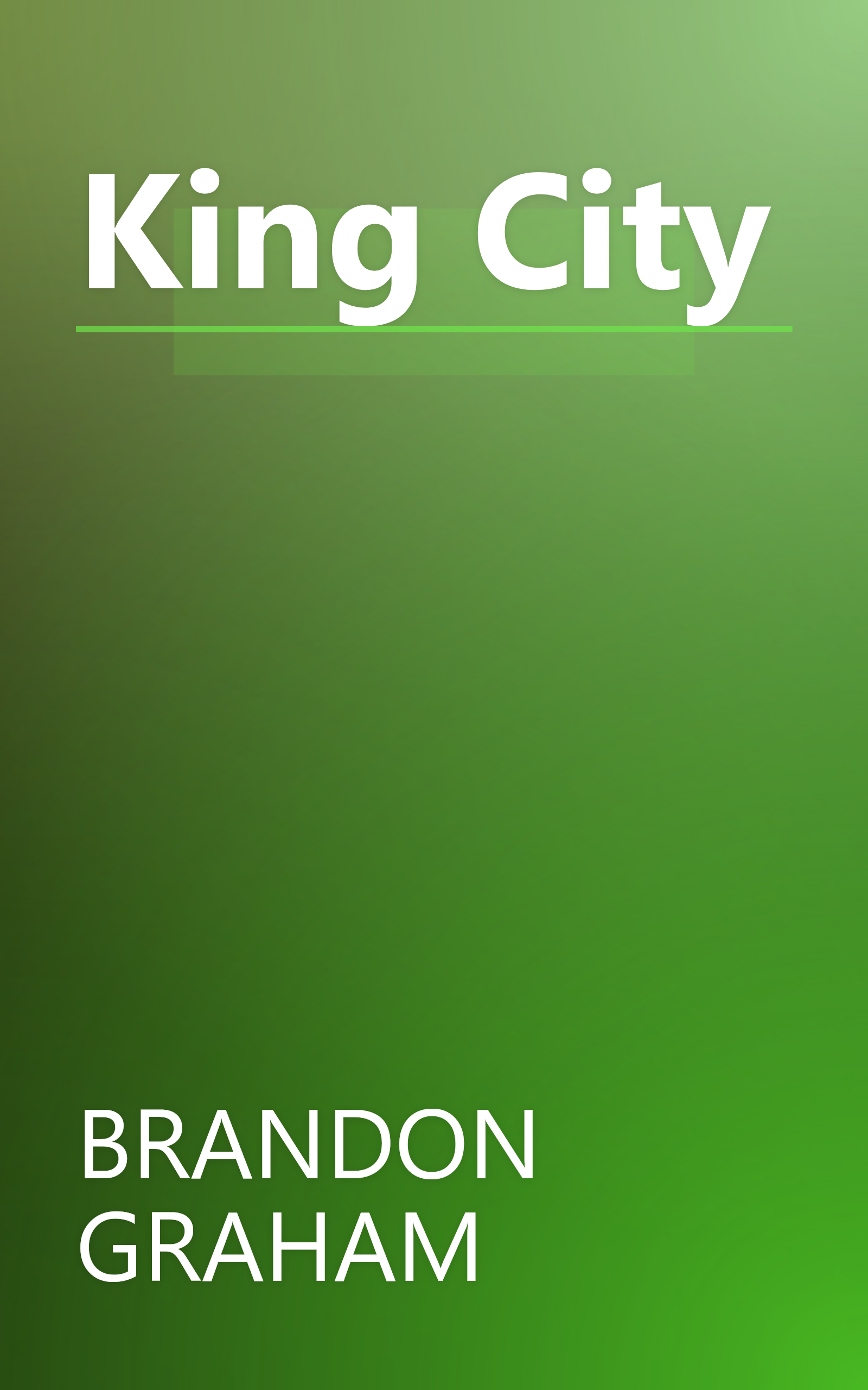 King City book cover