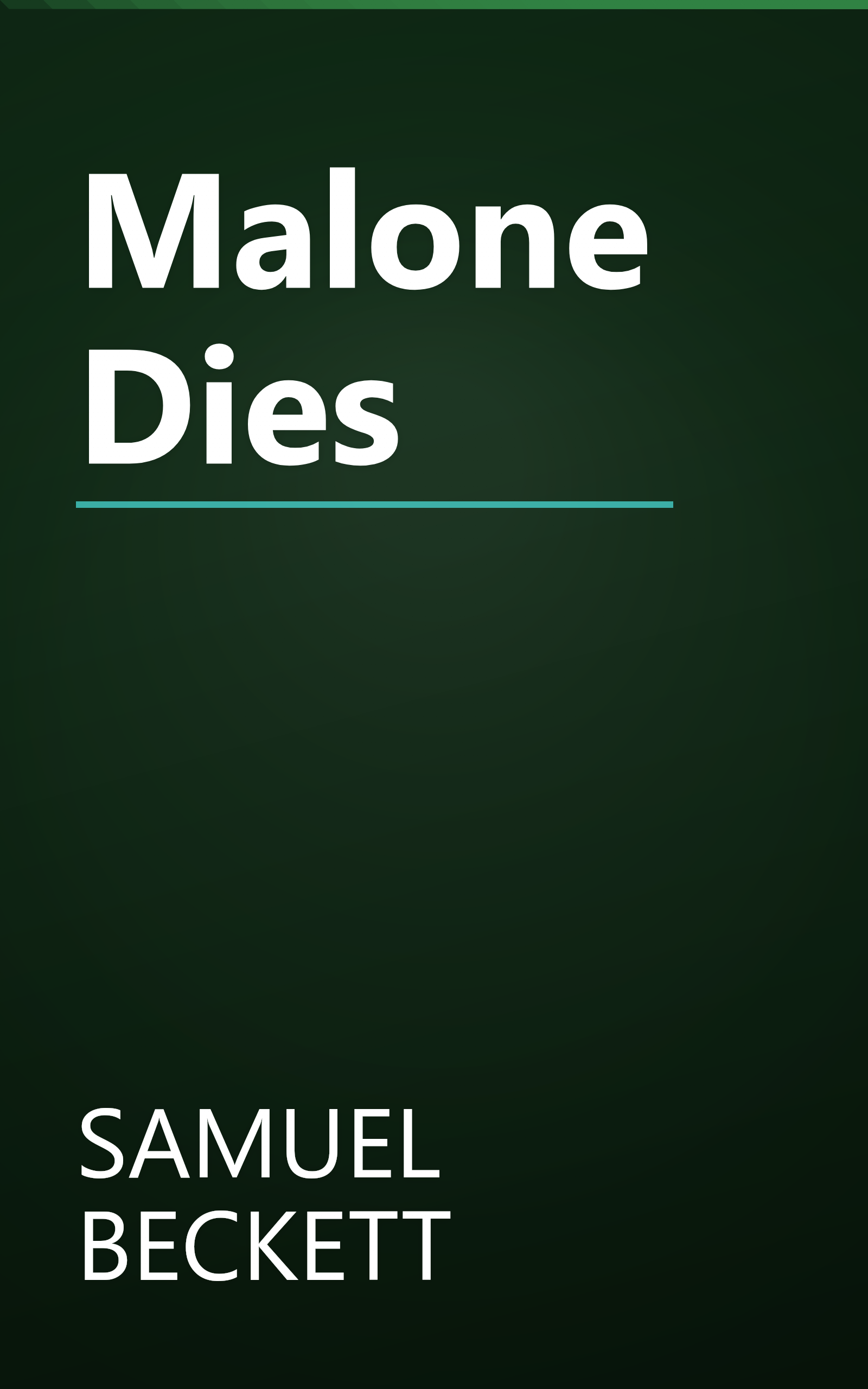 Malone Dies book cover