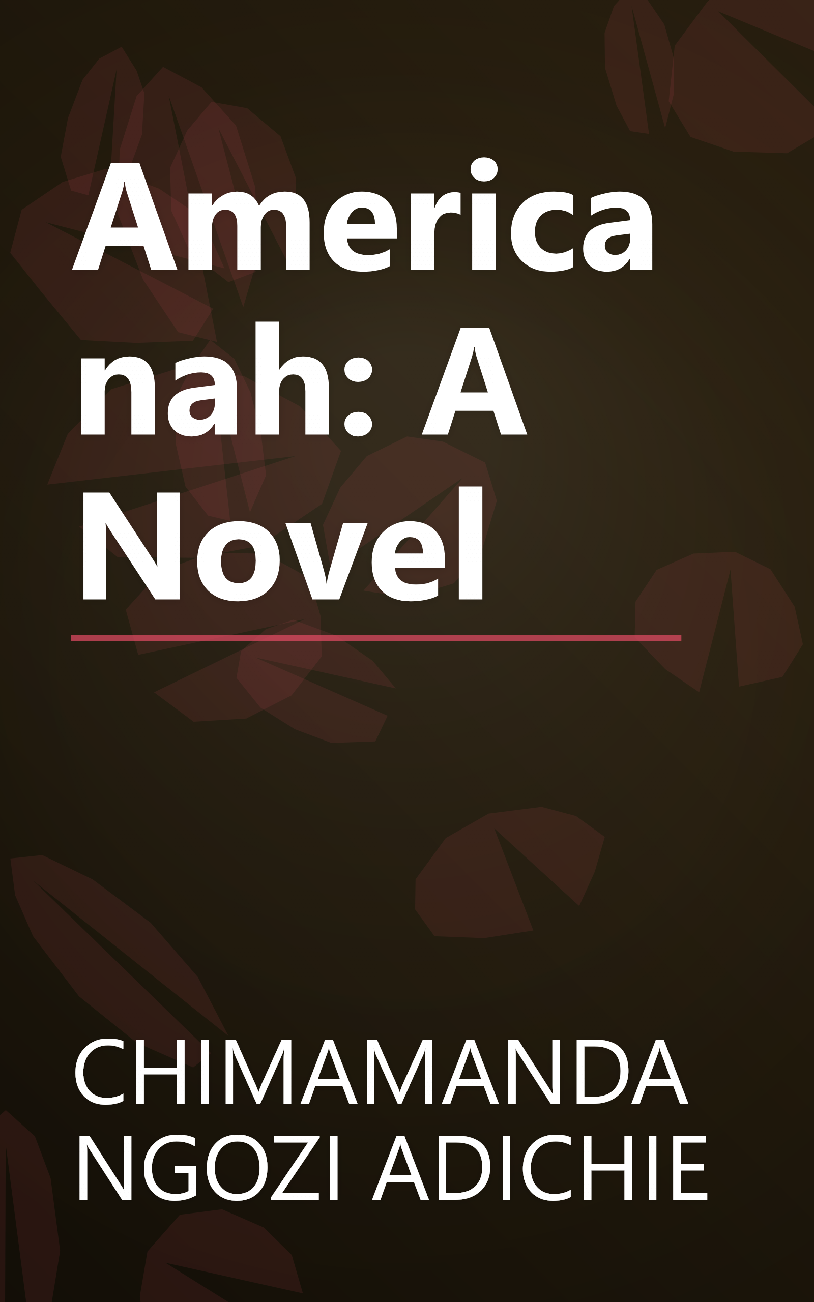 Americanah: A Novel book cover