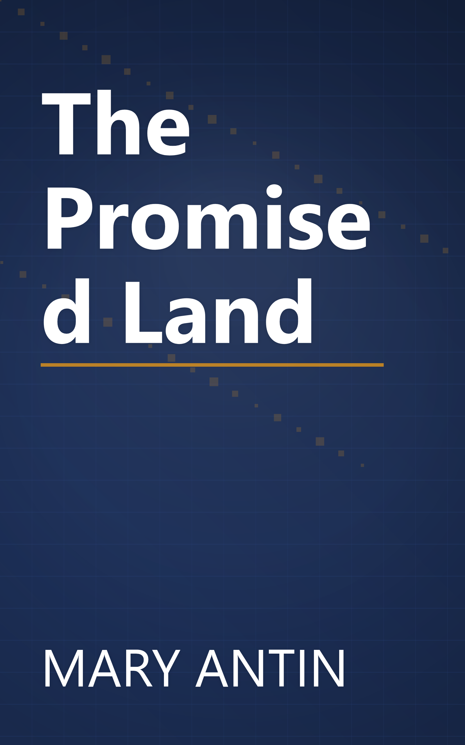 The Promised Land book cover