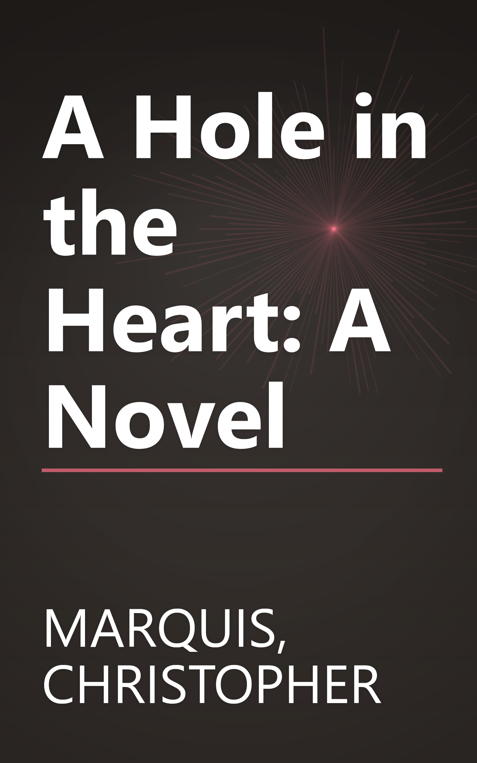 A Hole in the Heart: A Novel book cover