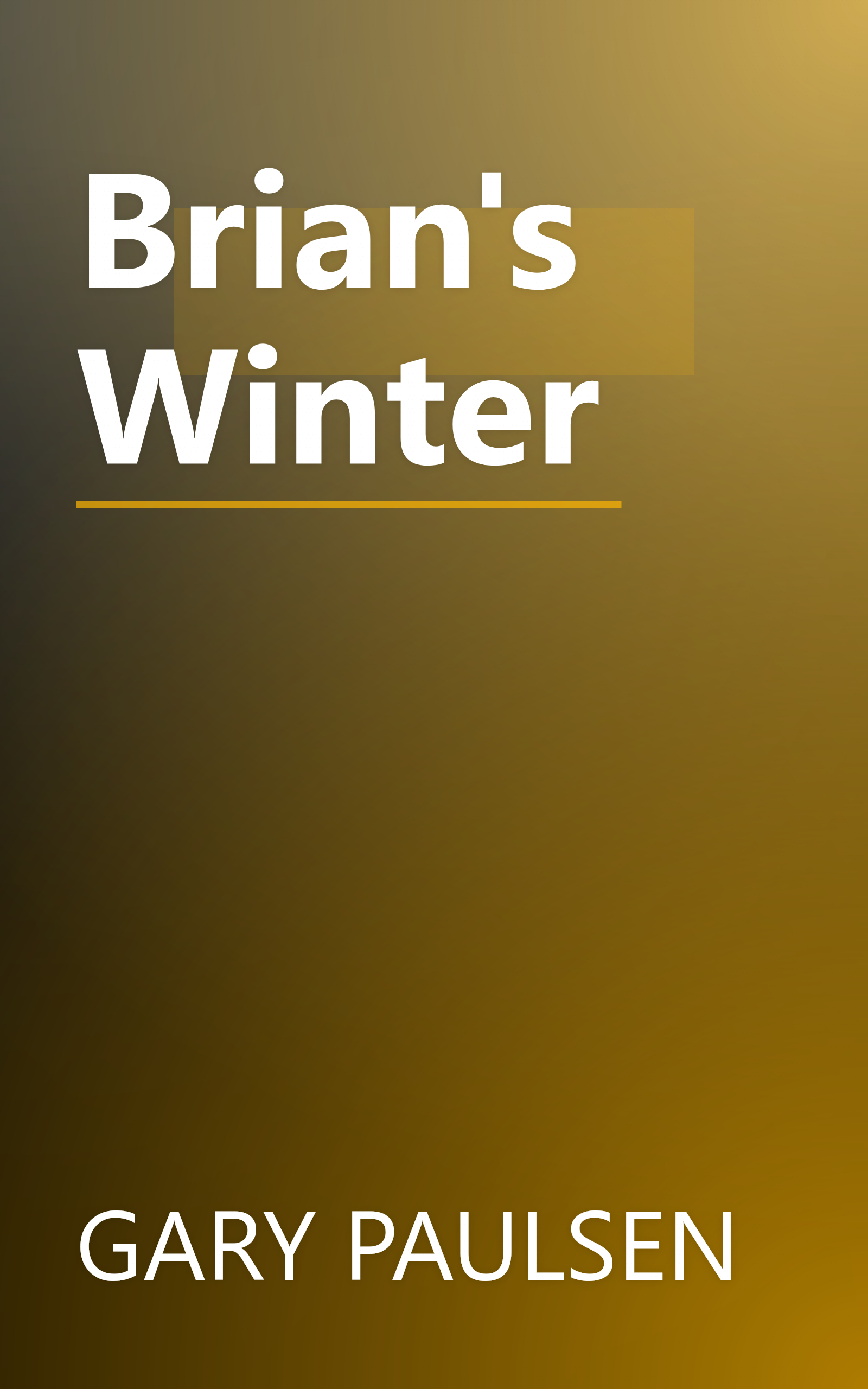 Brian's Winter book cover