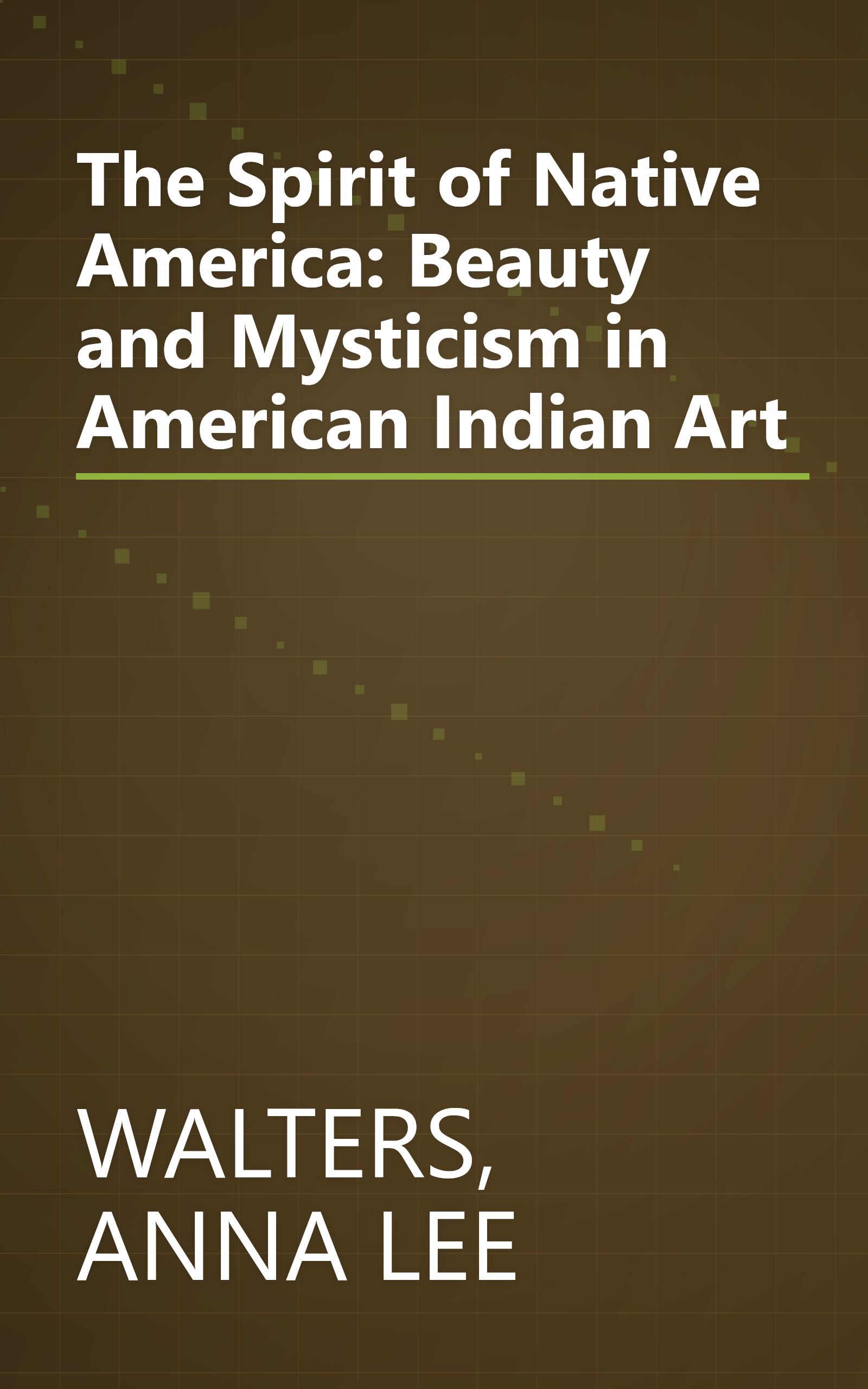 The Spirit of Native America: Beauty and Mysticism in American Indian Art book cover