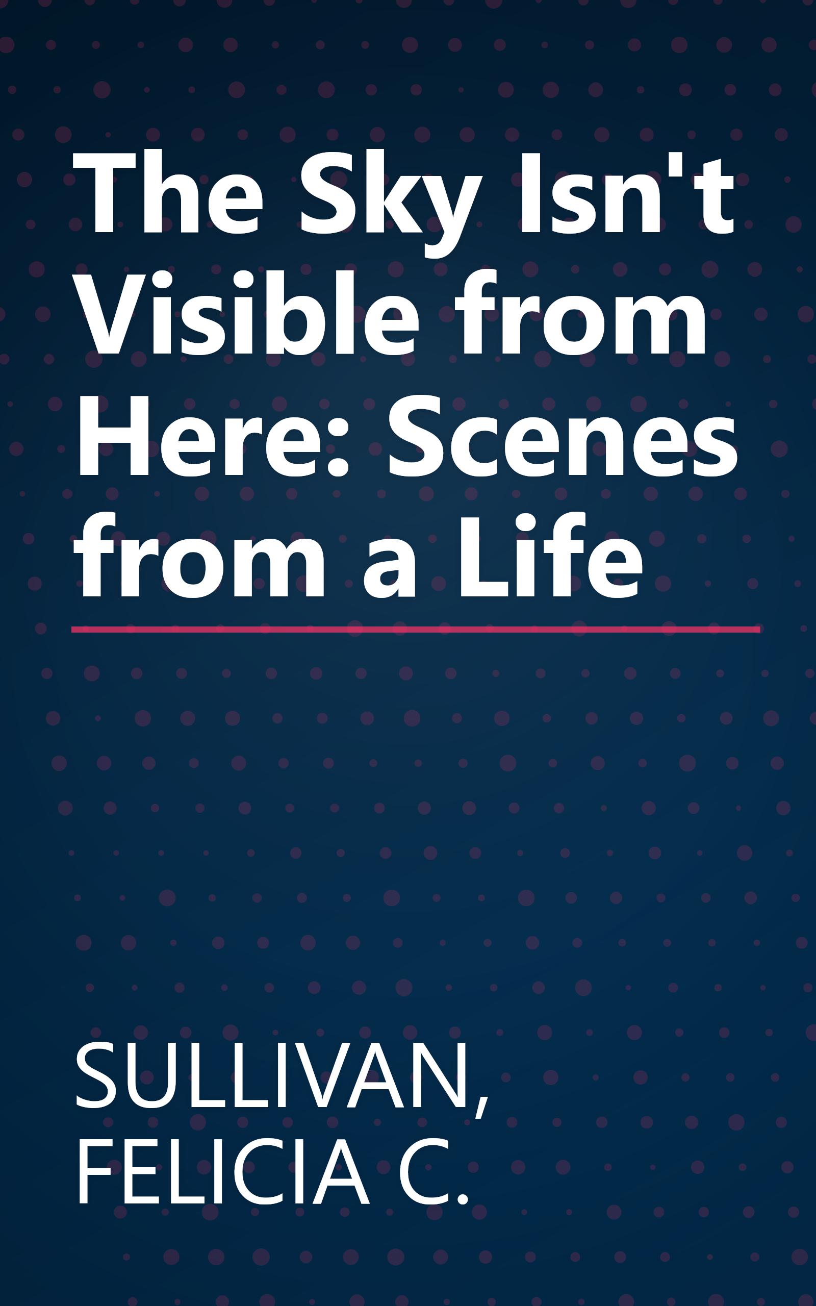 The Sky Isn't Visible from Here: Scenes from a Life book cover