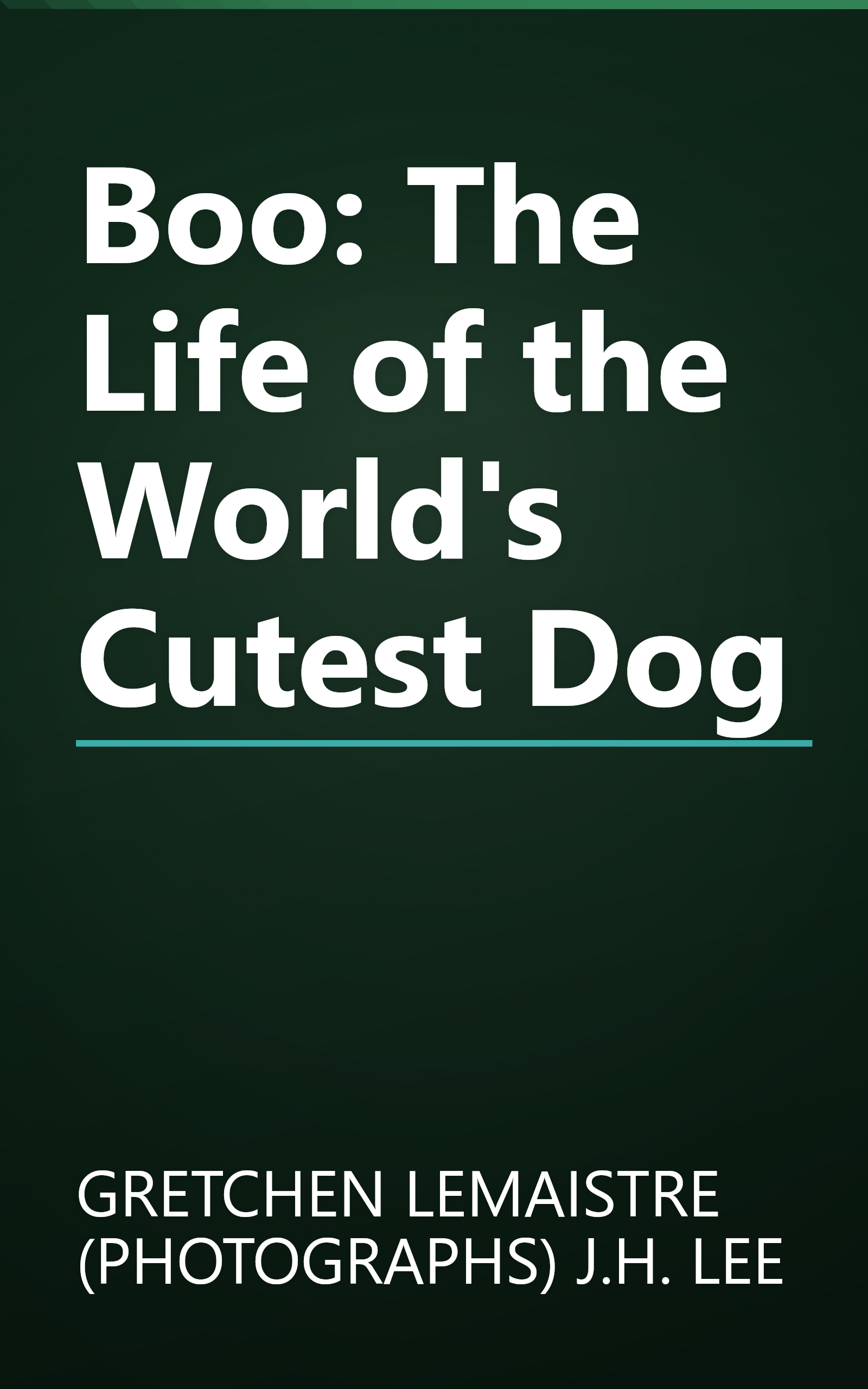 Boo: The Life of the World's Cutest Dog book cover