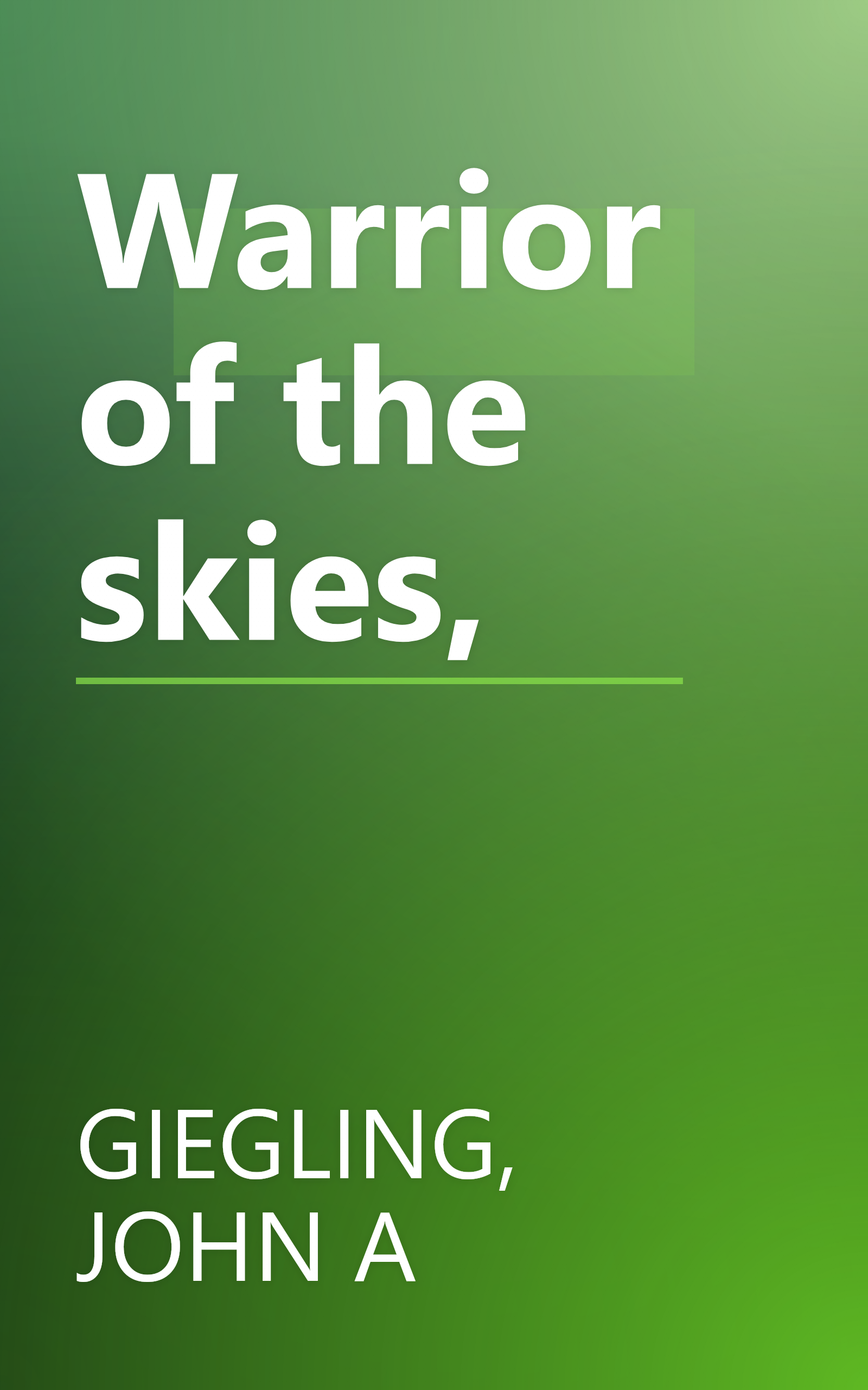 Warrior of the skies, book cover