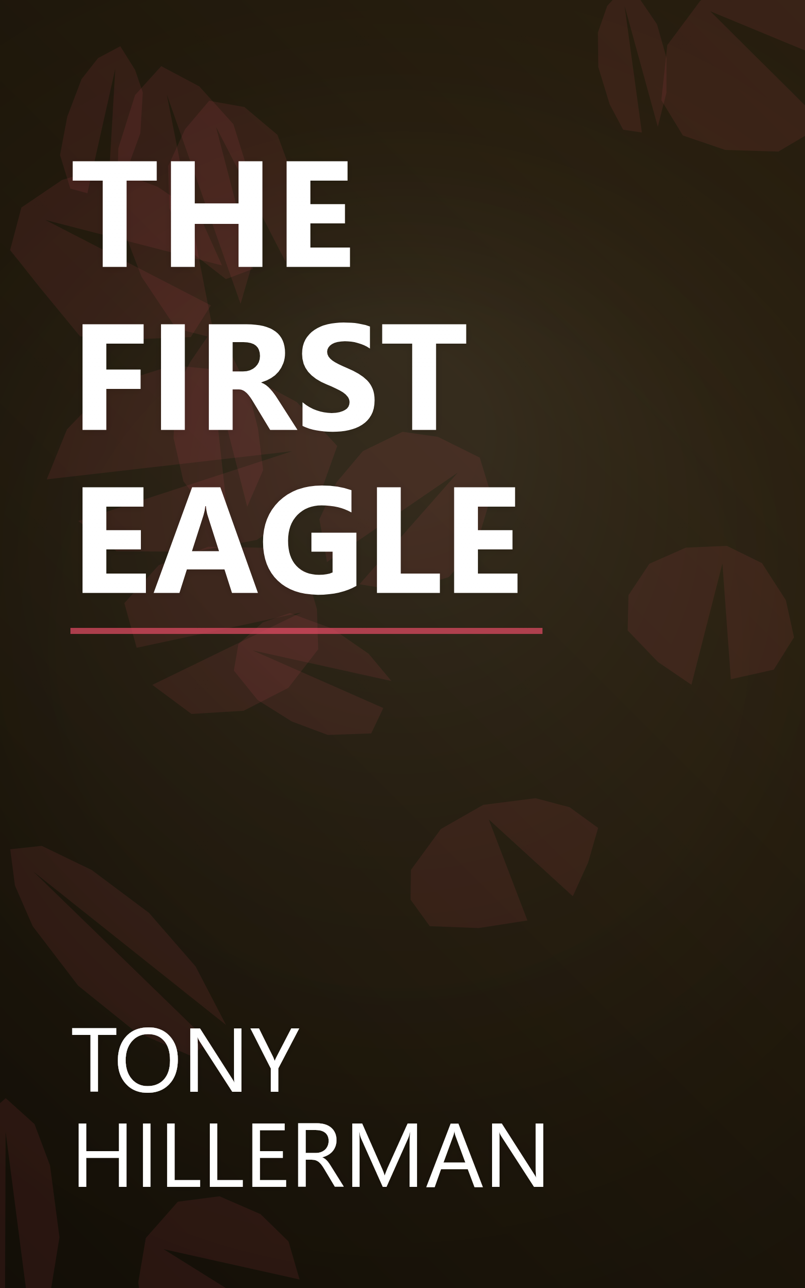 THE FIRST EAGLE book cover