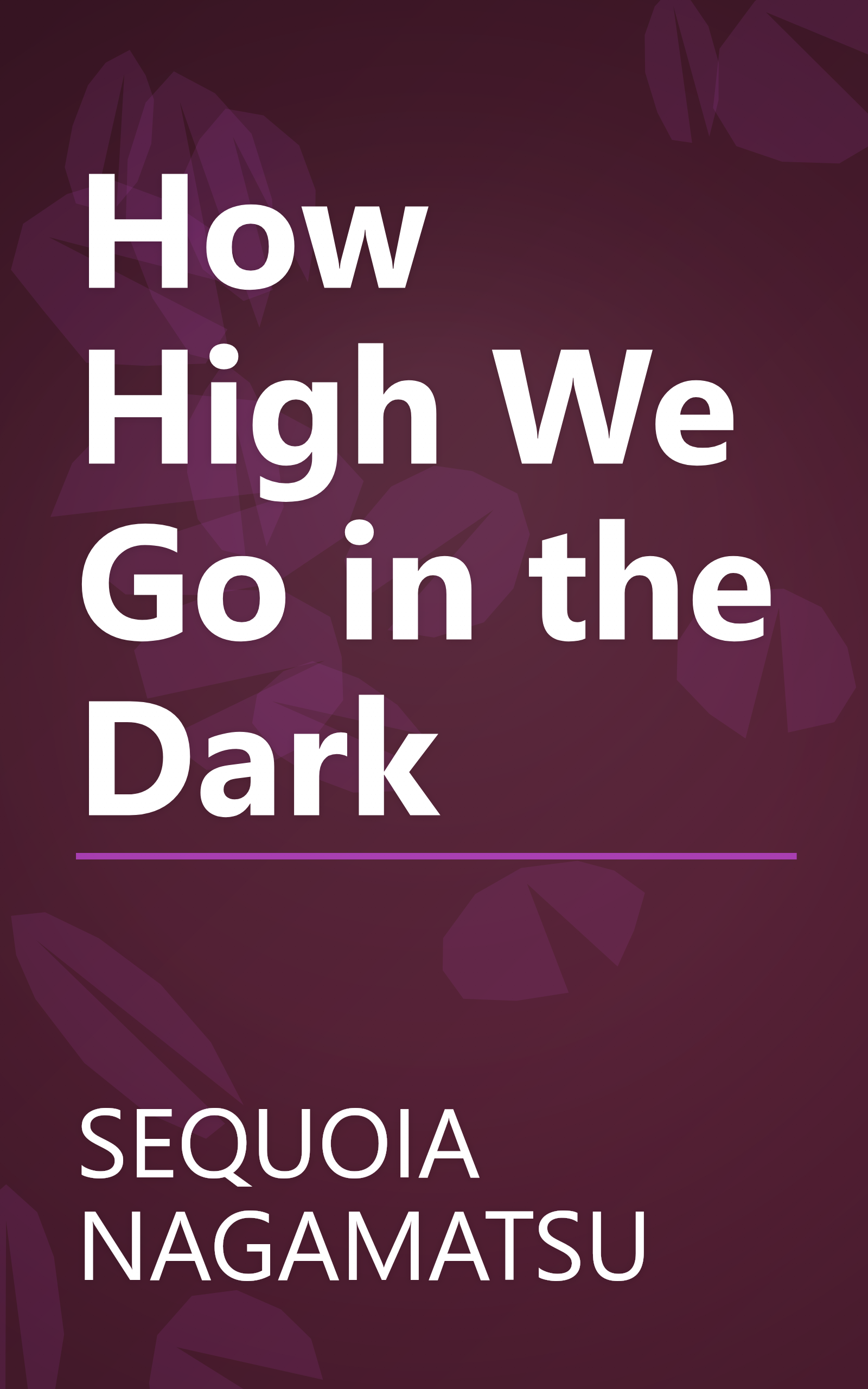 How High We Go in the Dark book cover