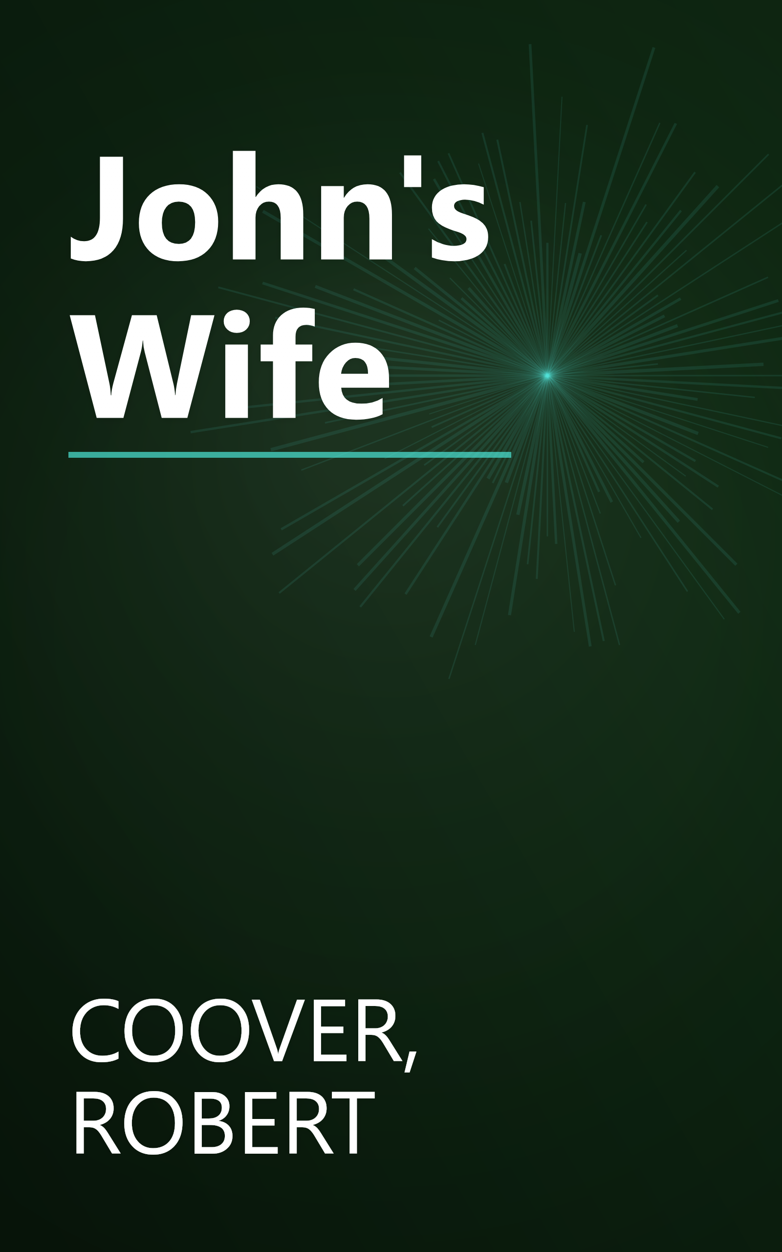 John's Wife book cover