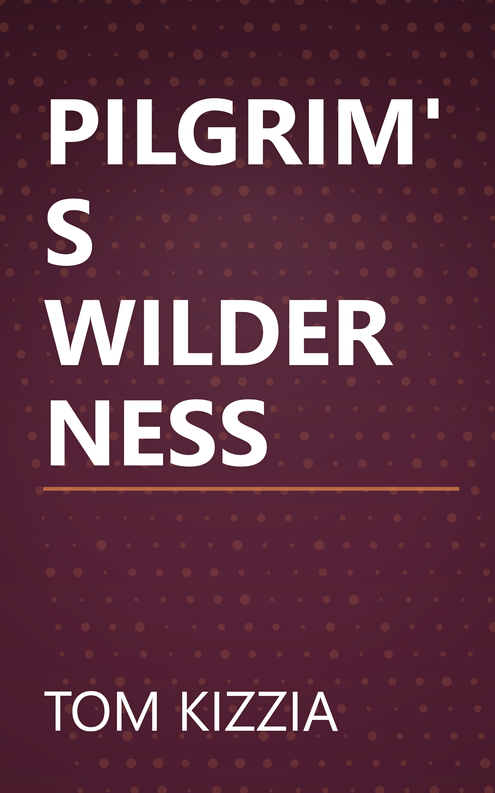 PILGRIM'S WILDERNESS book cover