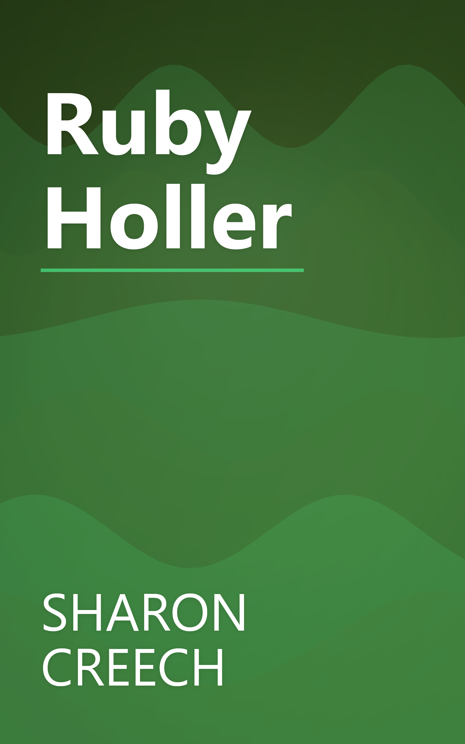 Ruby Holler book cover
