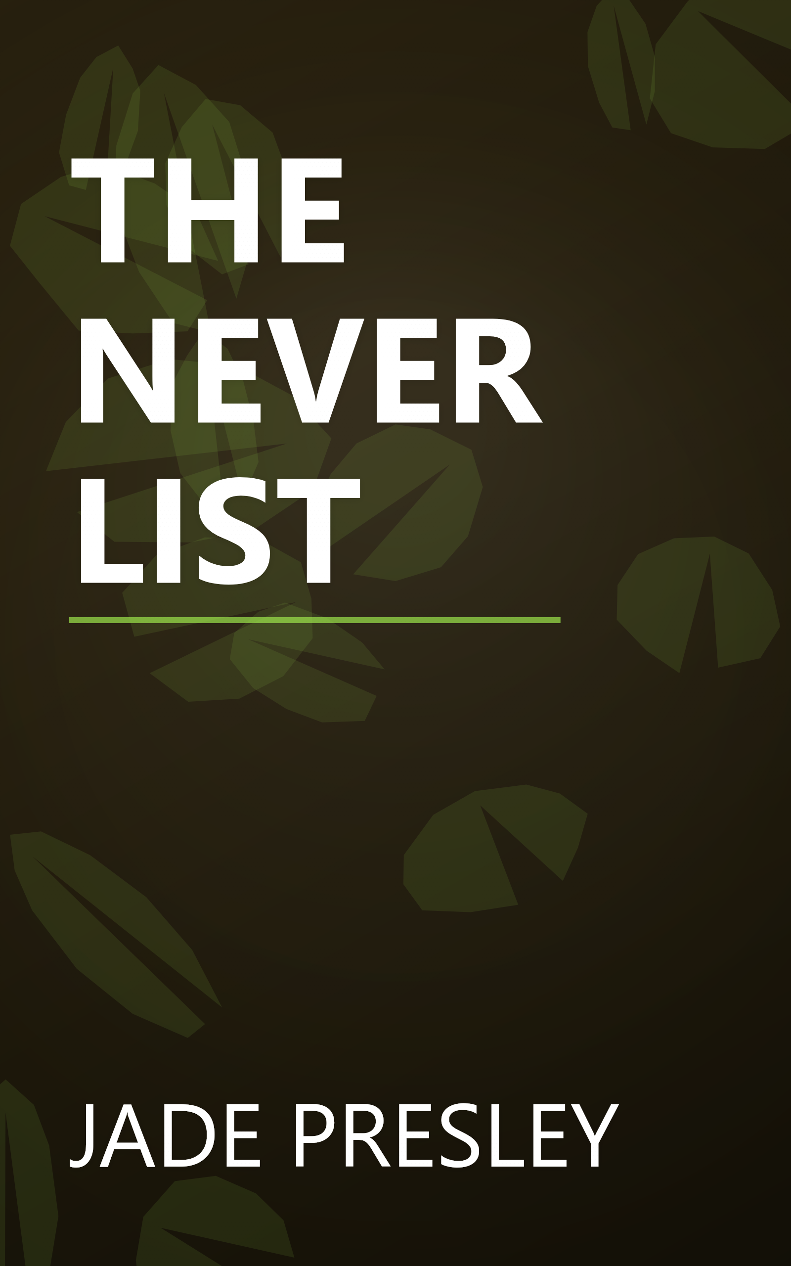 THE NEVER LIST book cover