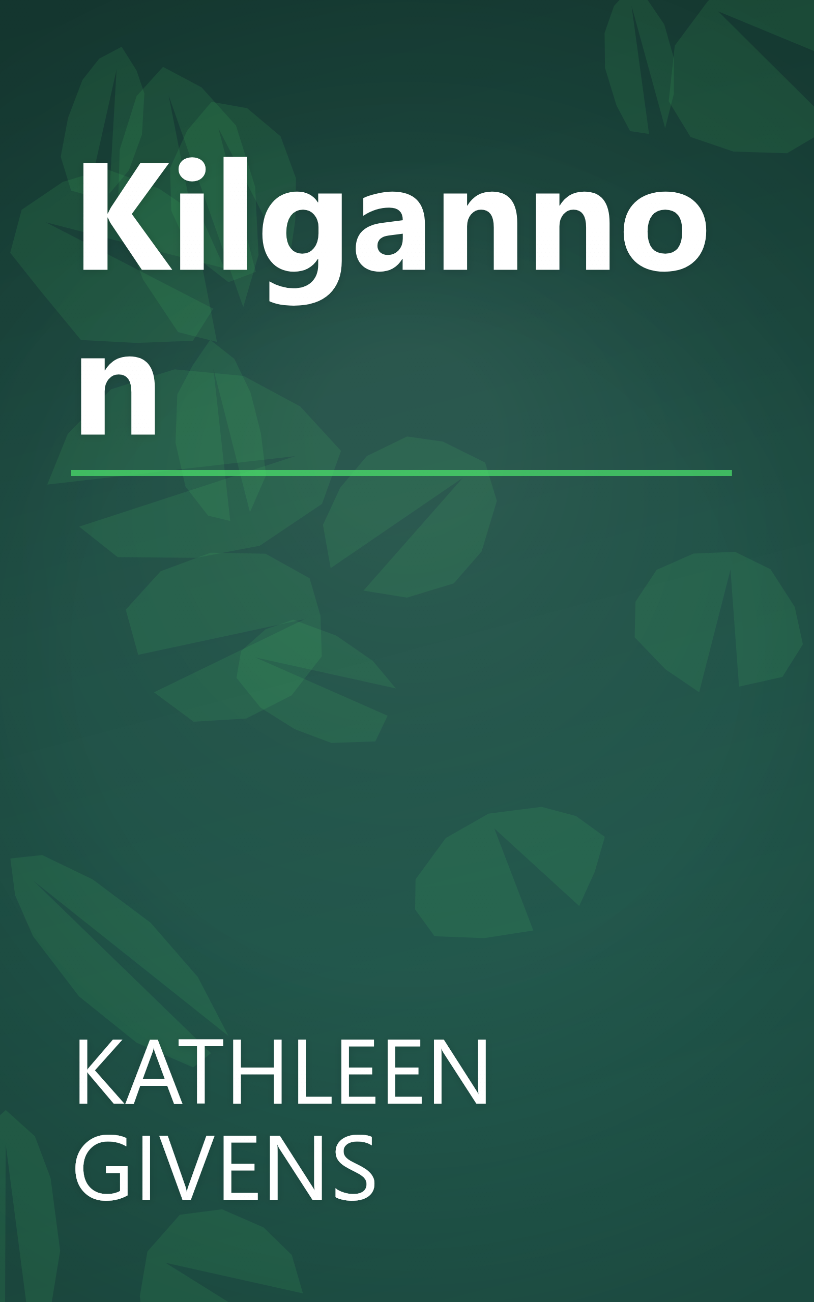 Kilgannon book cover