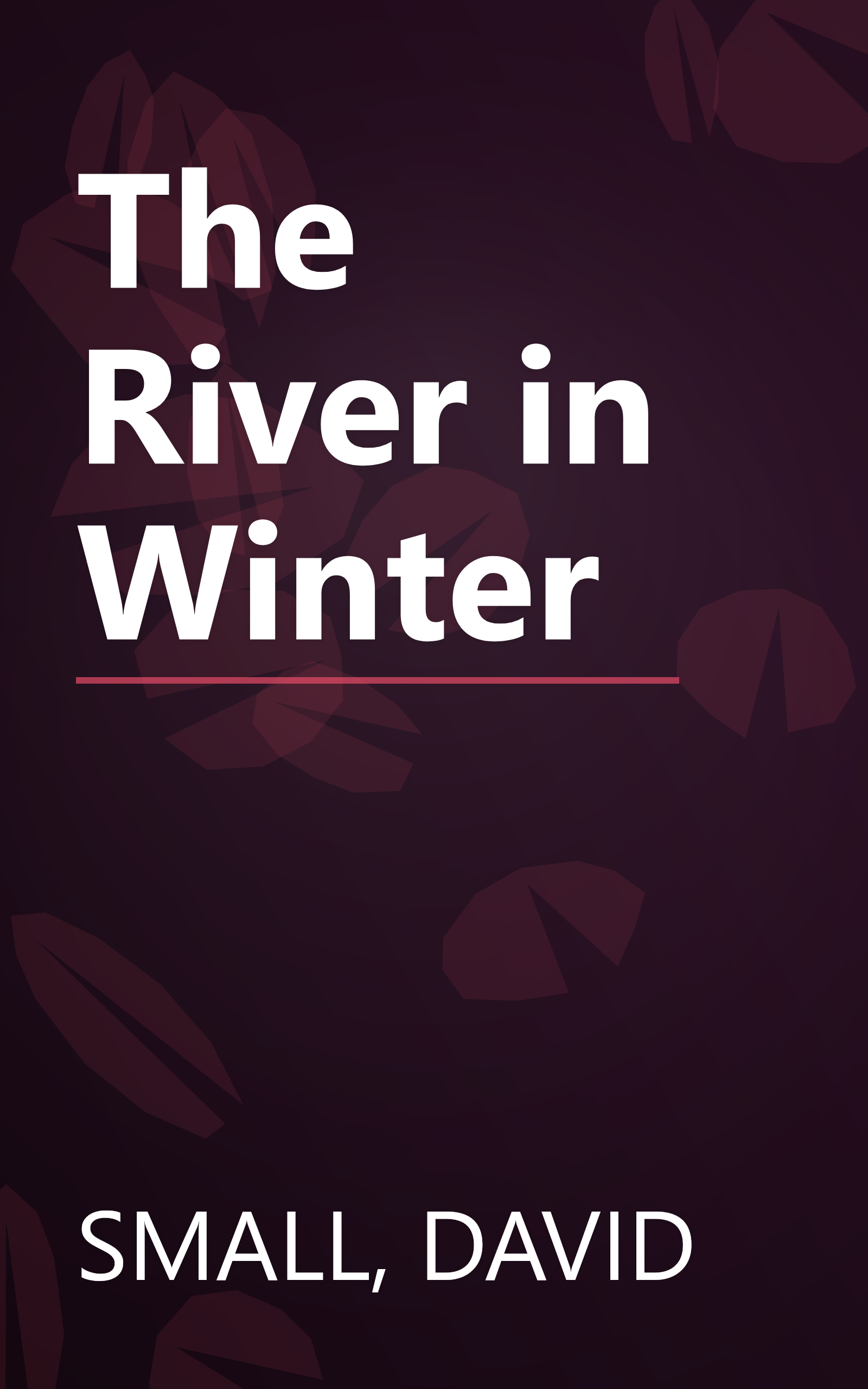 The River in Winter book cover