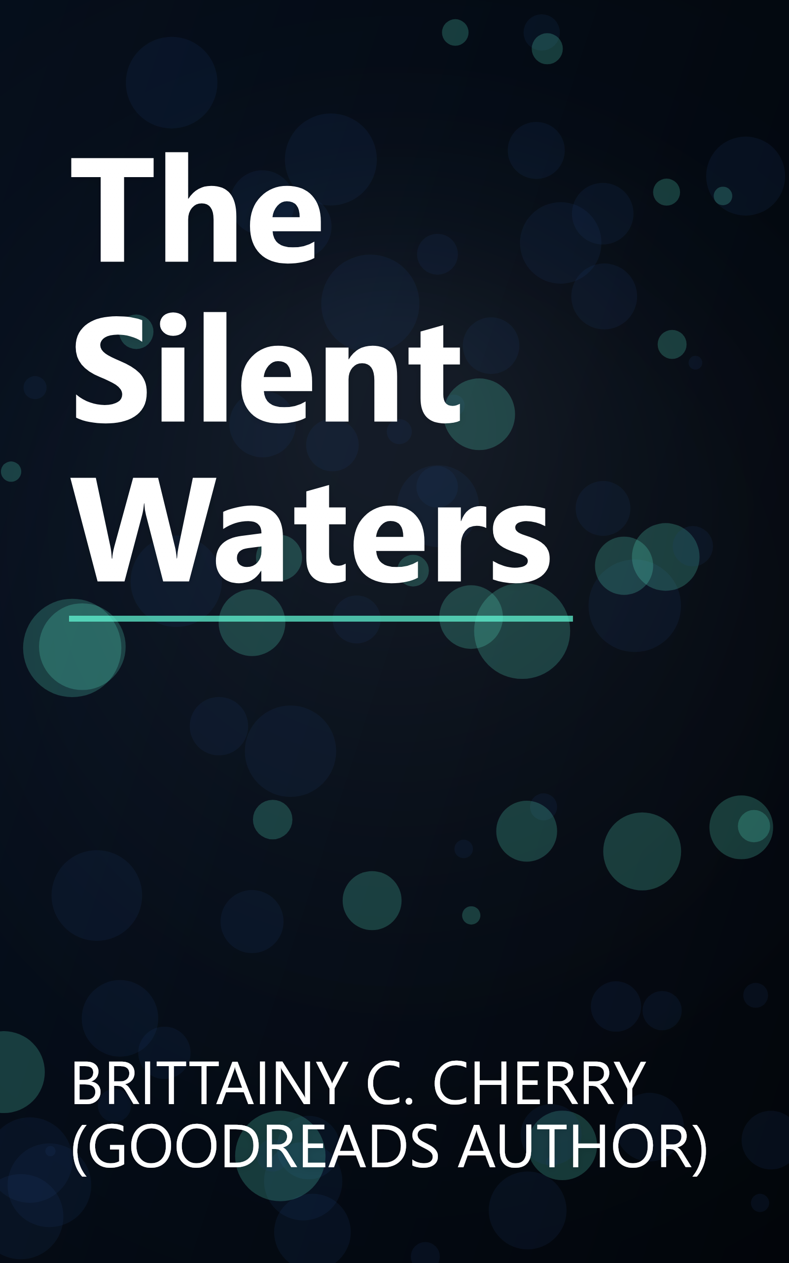 The Silent Waters book cover
