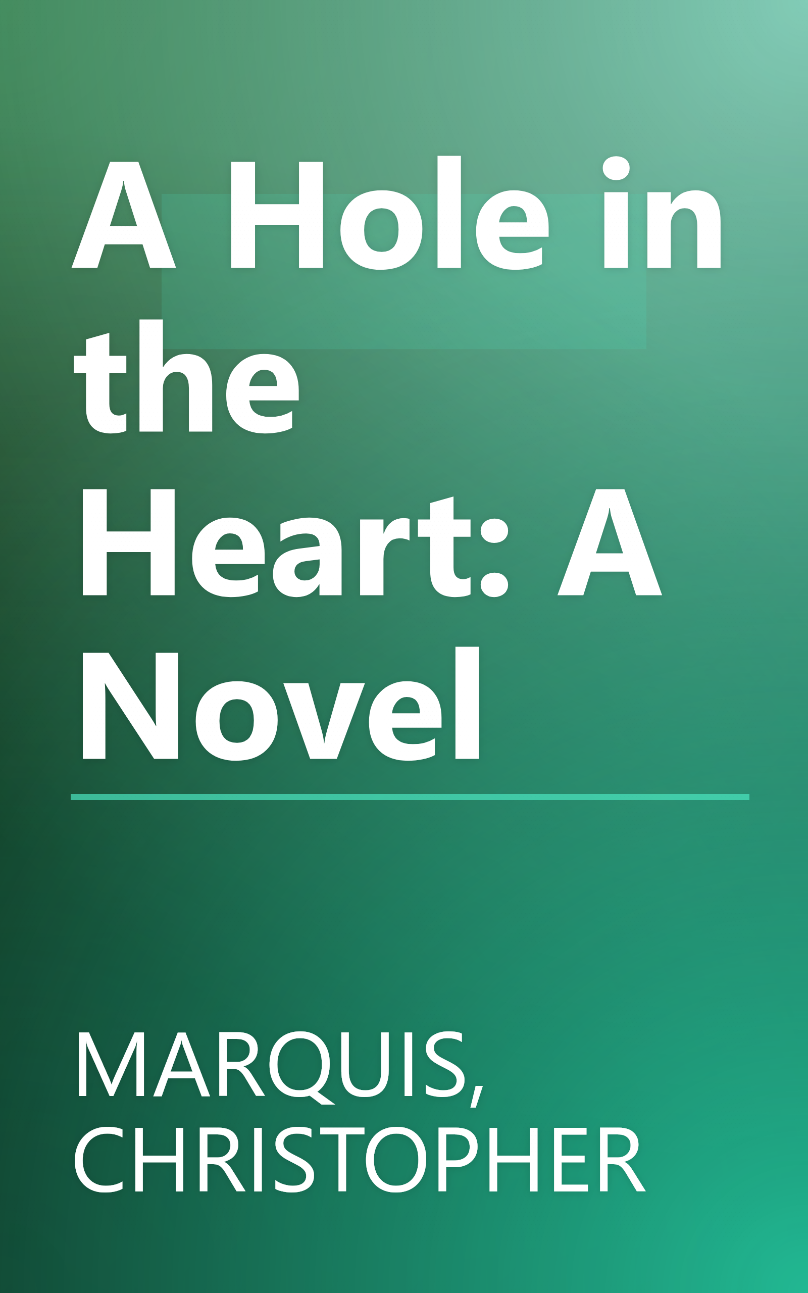 A Hole in the Heart: A Novel book cover