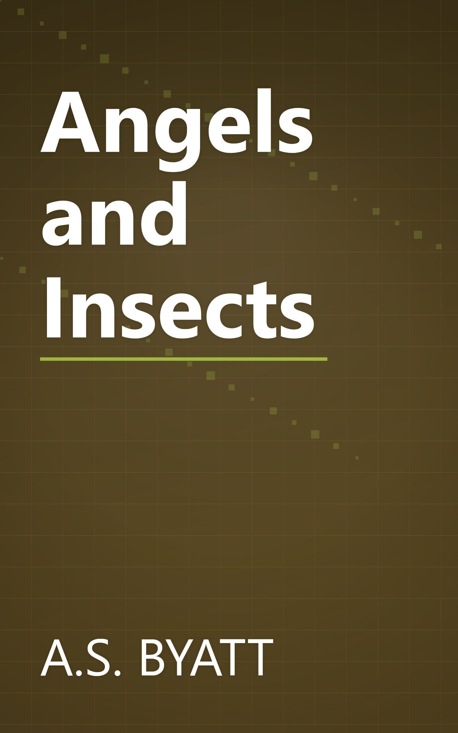Angels and Insects book cover