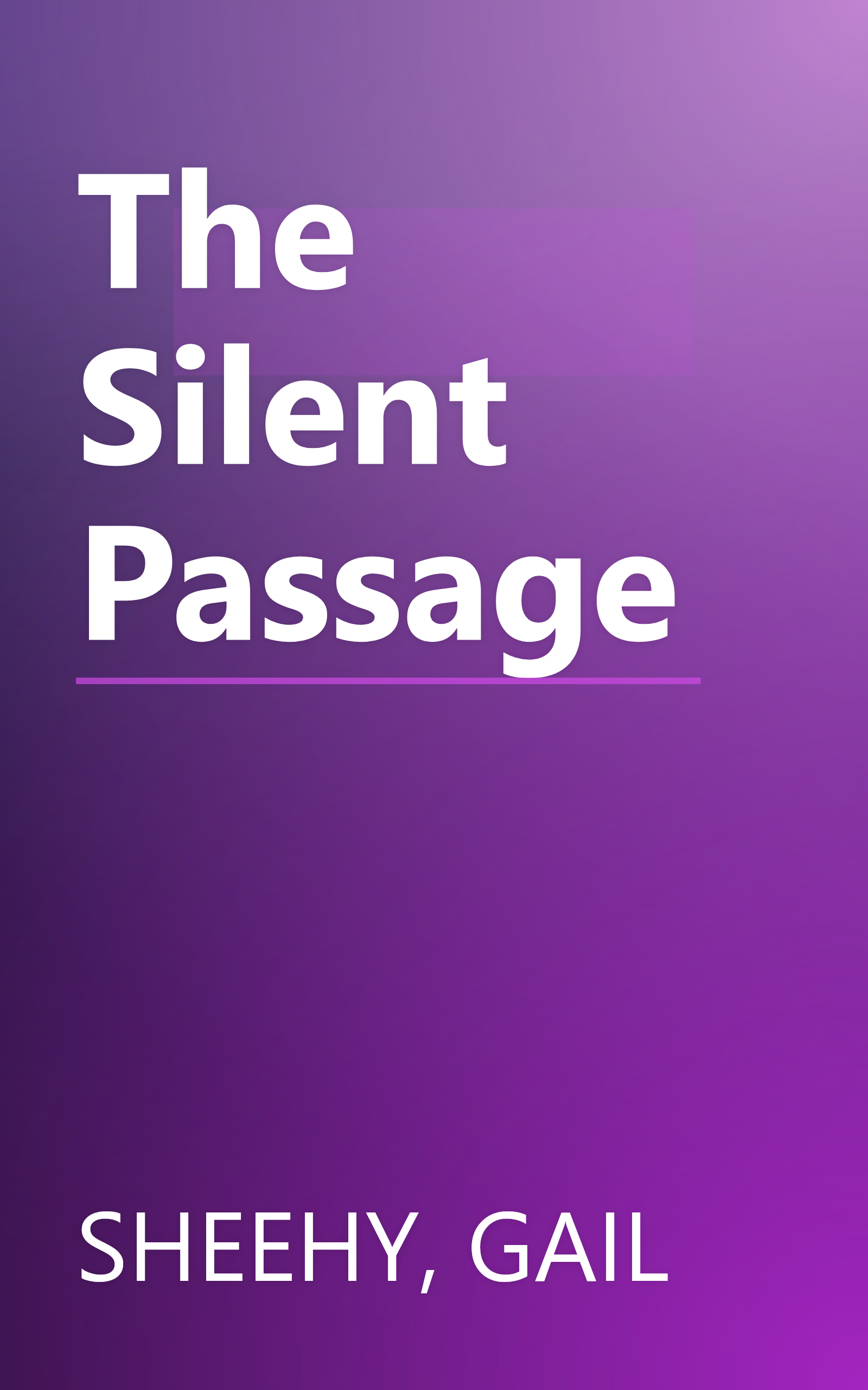 The Silent Passage book cover