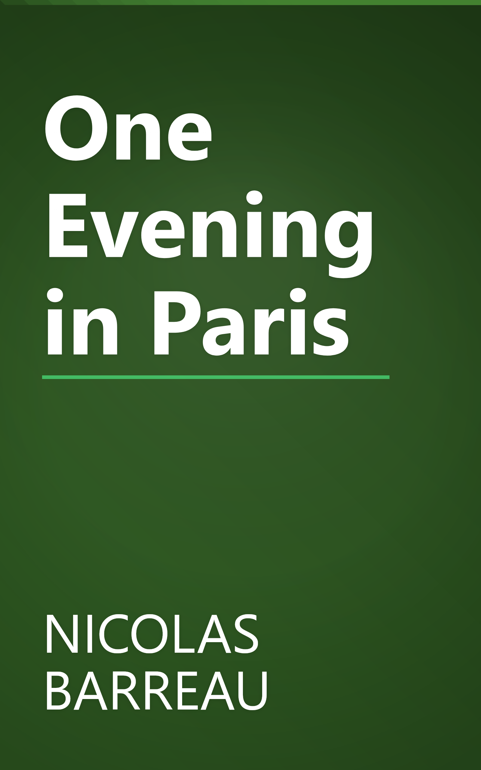 One Evening in Paris book cover