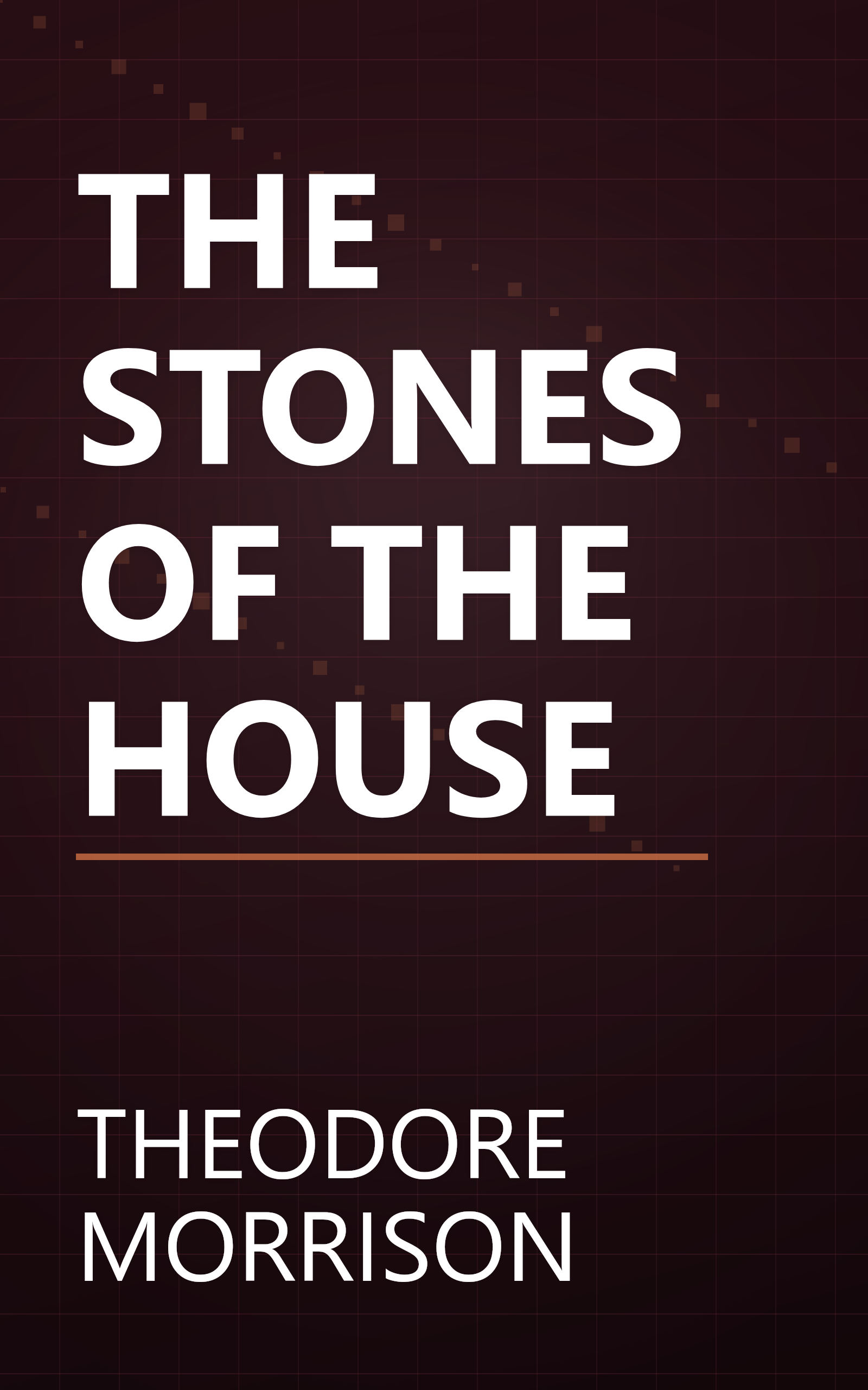 THE STONES OF THE HOUSE book cover