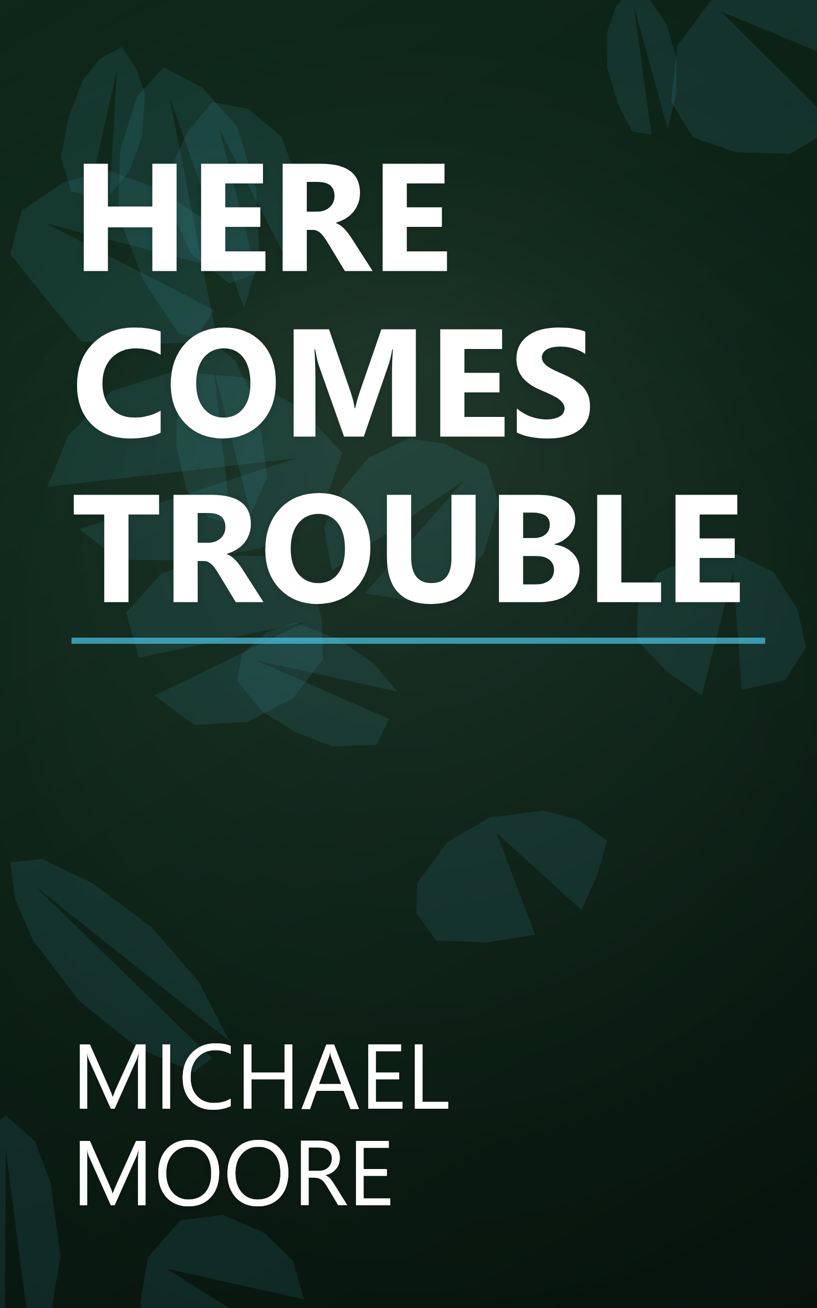 HERE COMES TROUBLE book cover