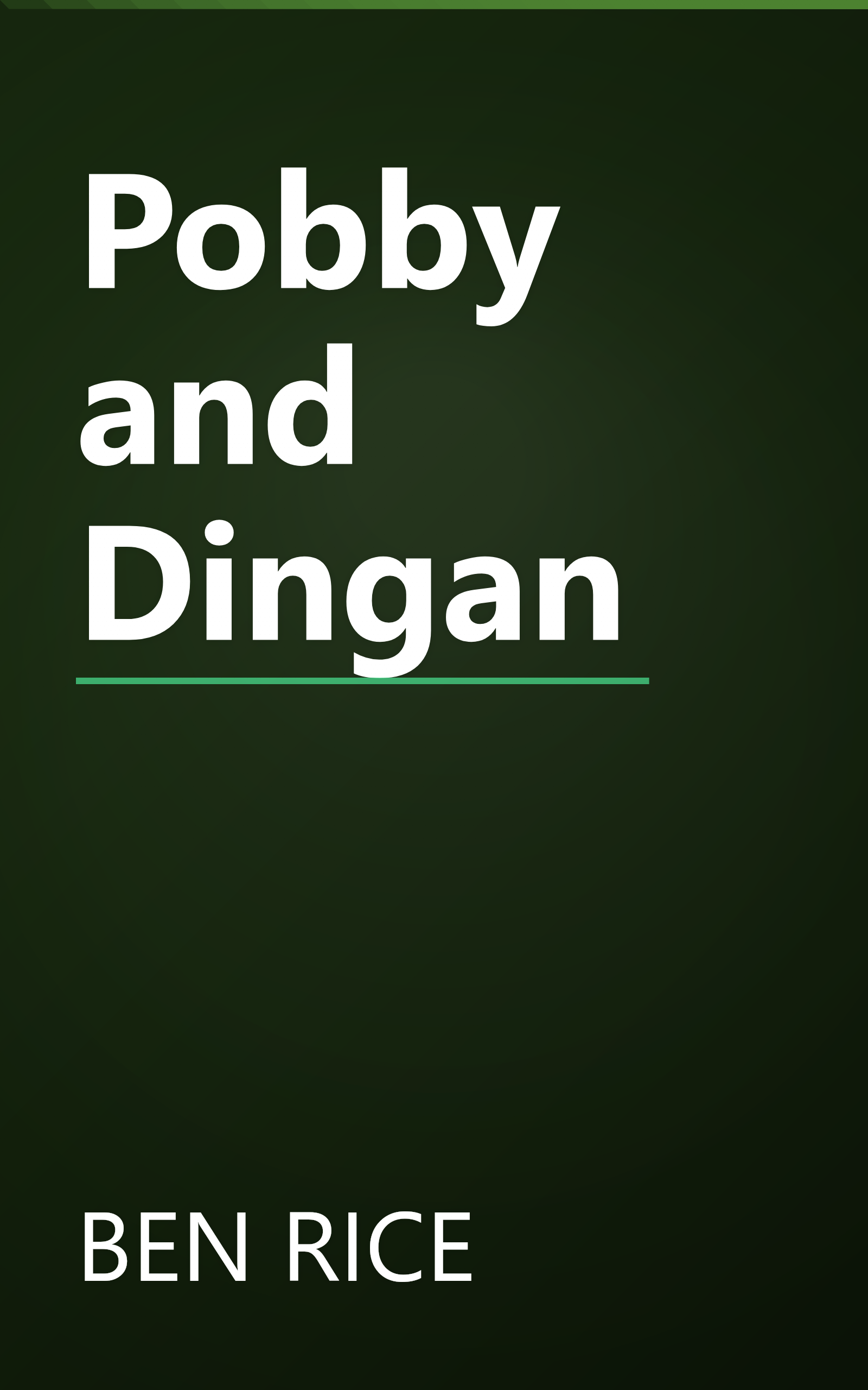 Pobby and Dingan book cover