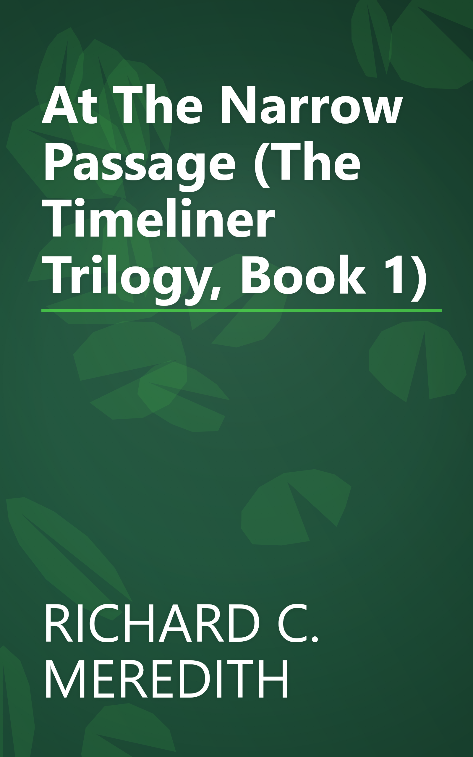 At The Narrow Passage (The Timeliner Trilogy, Book 1) book cover