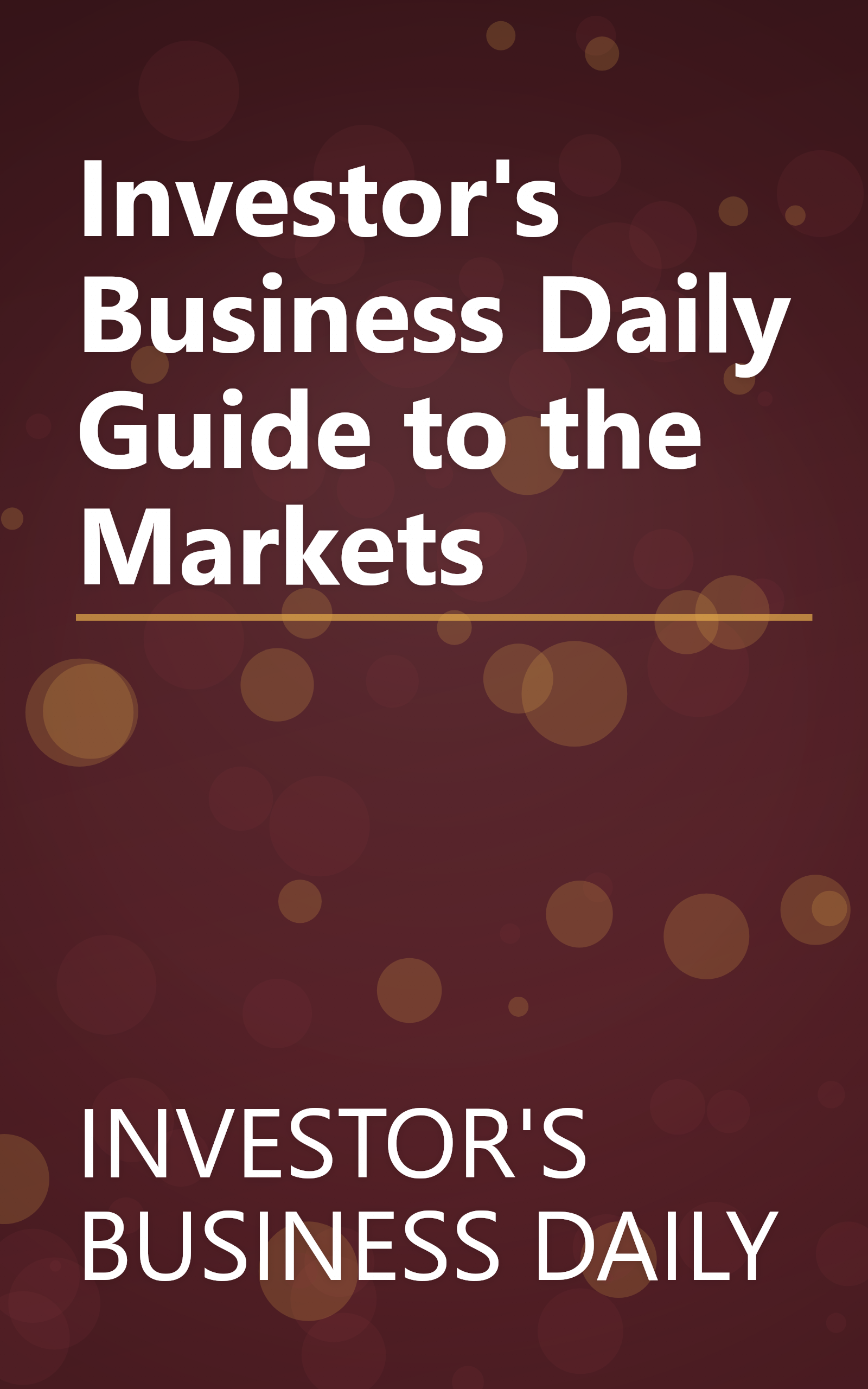 Investor's Business Daily Guide to the Markets book cover