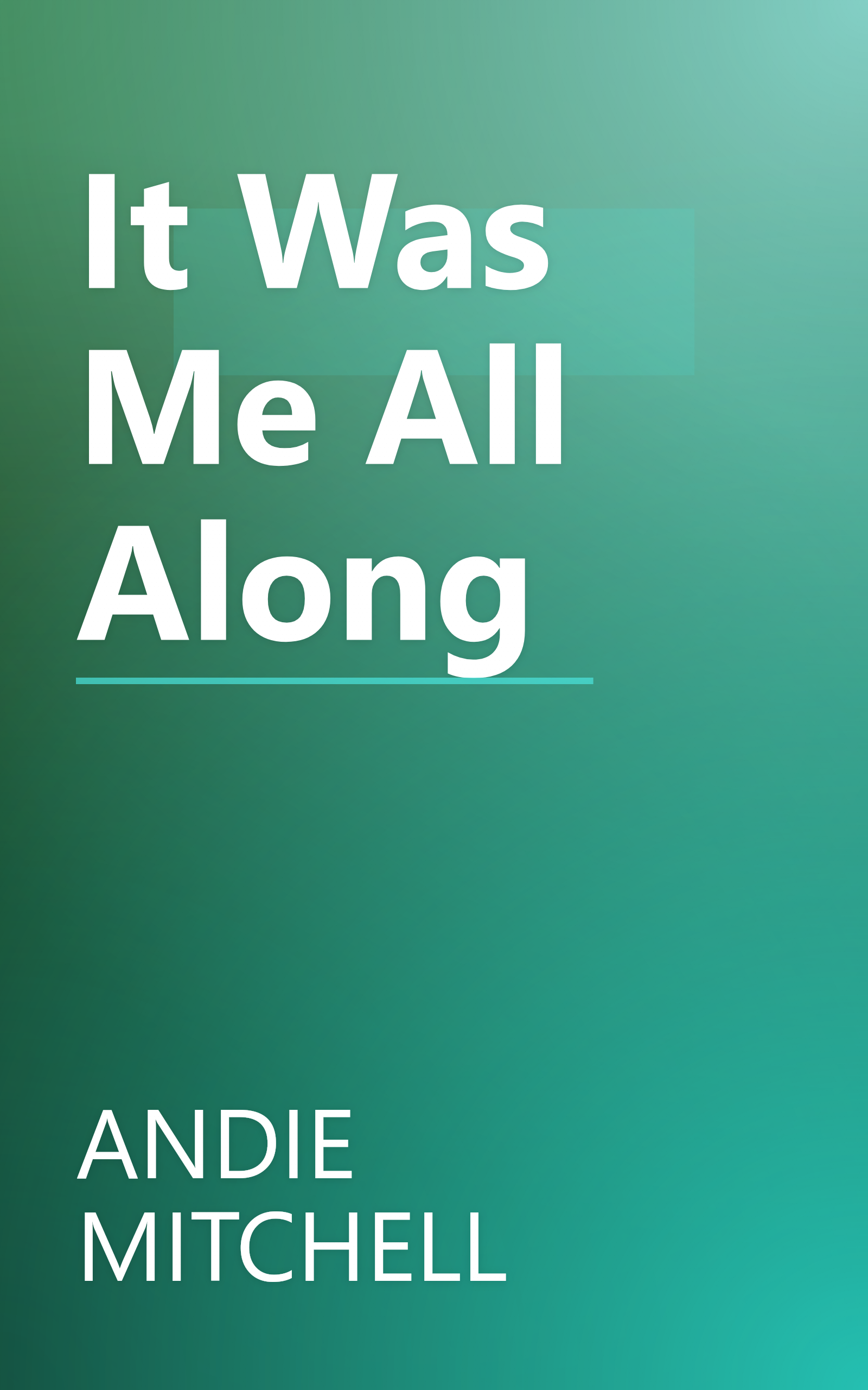 It Was Me All Along book cover