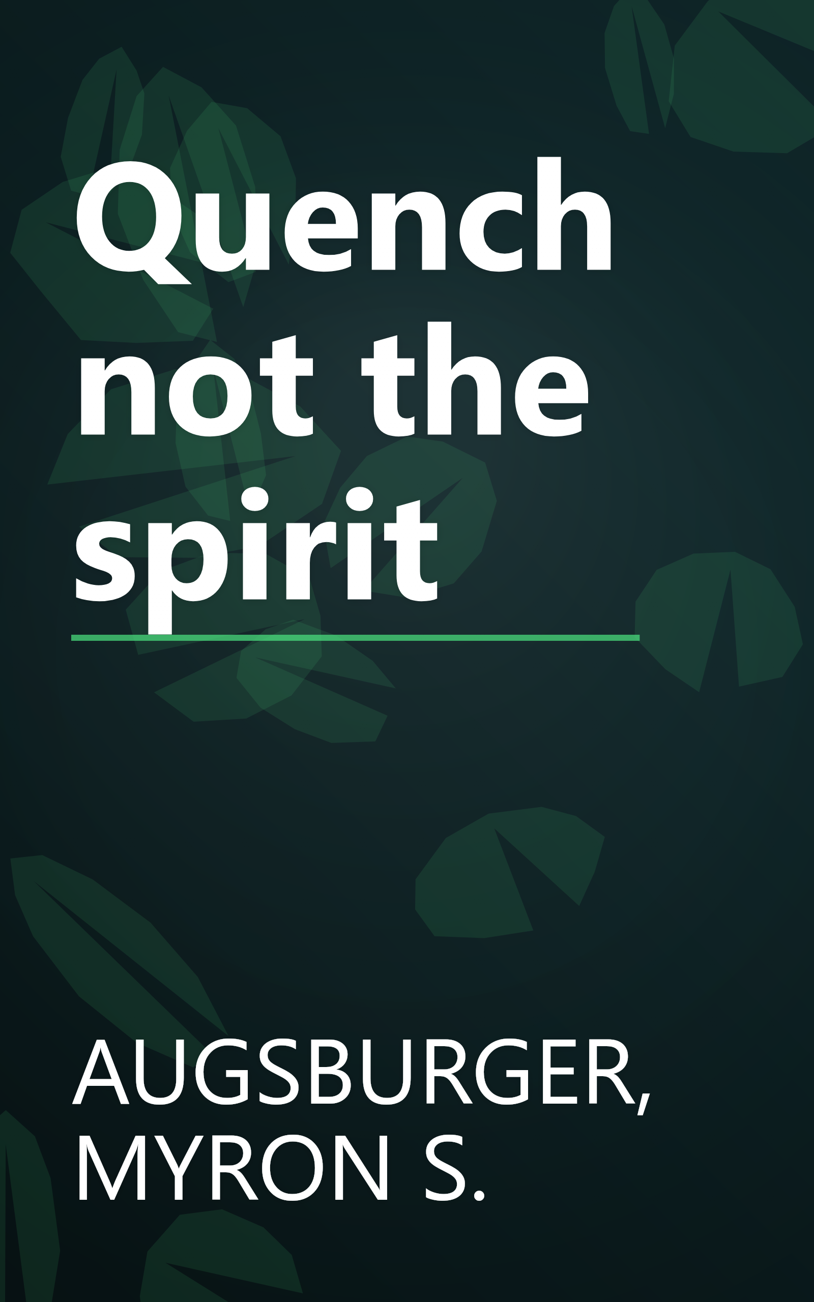 Quench not the spirit book cover