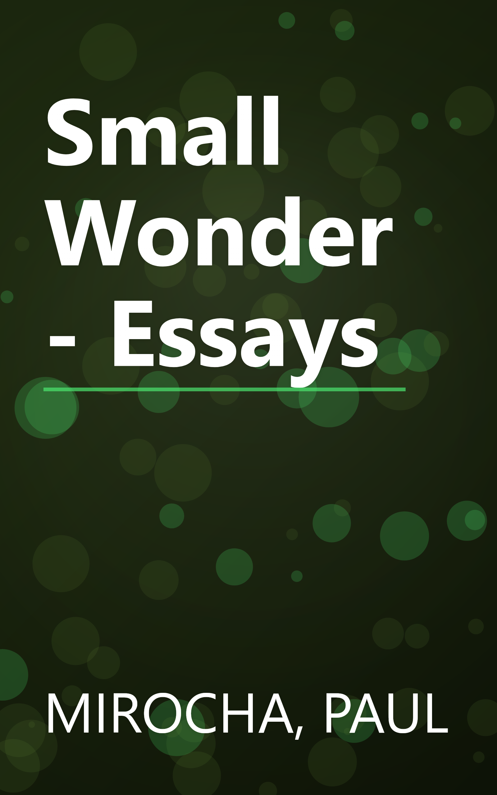 Small Wonder - Essays book cover