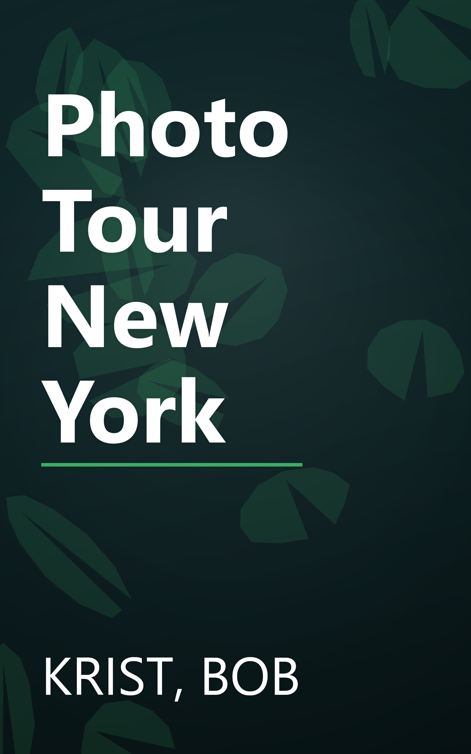 Photo Tour New York book cover