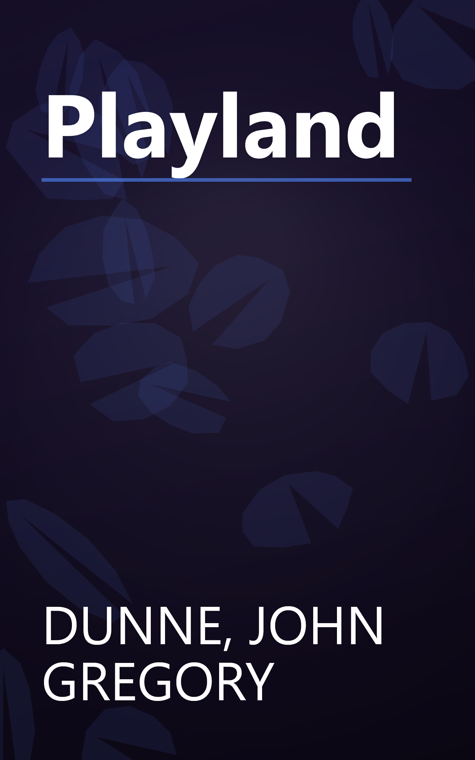Playland book cover