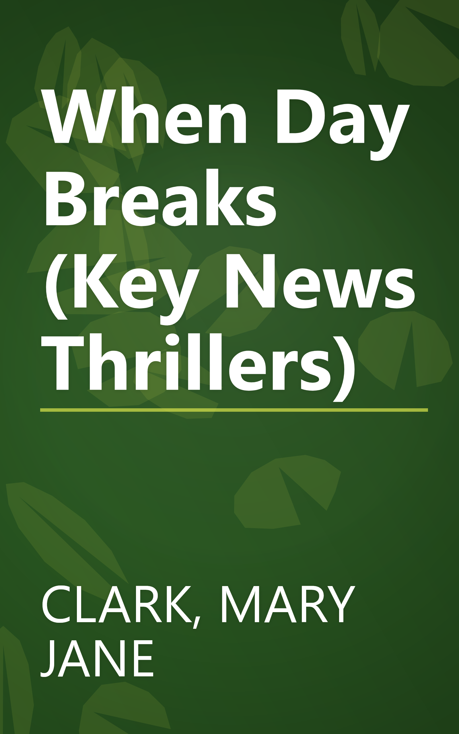 When Day Breaks (Key News Thrillers) book cover