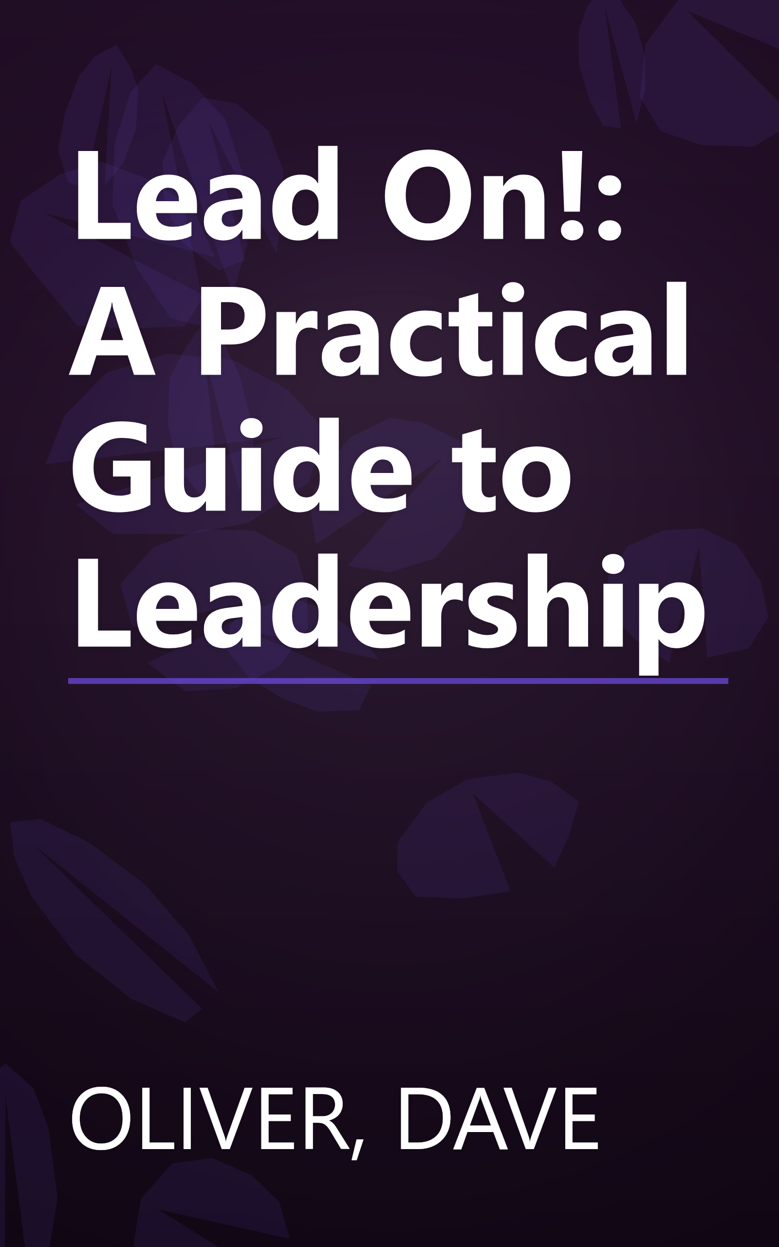Lead On!: A Practical Guide to Leadership book cover