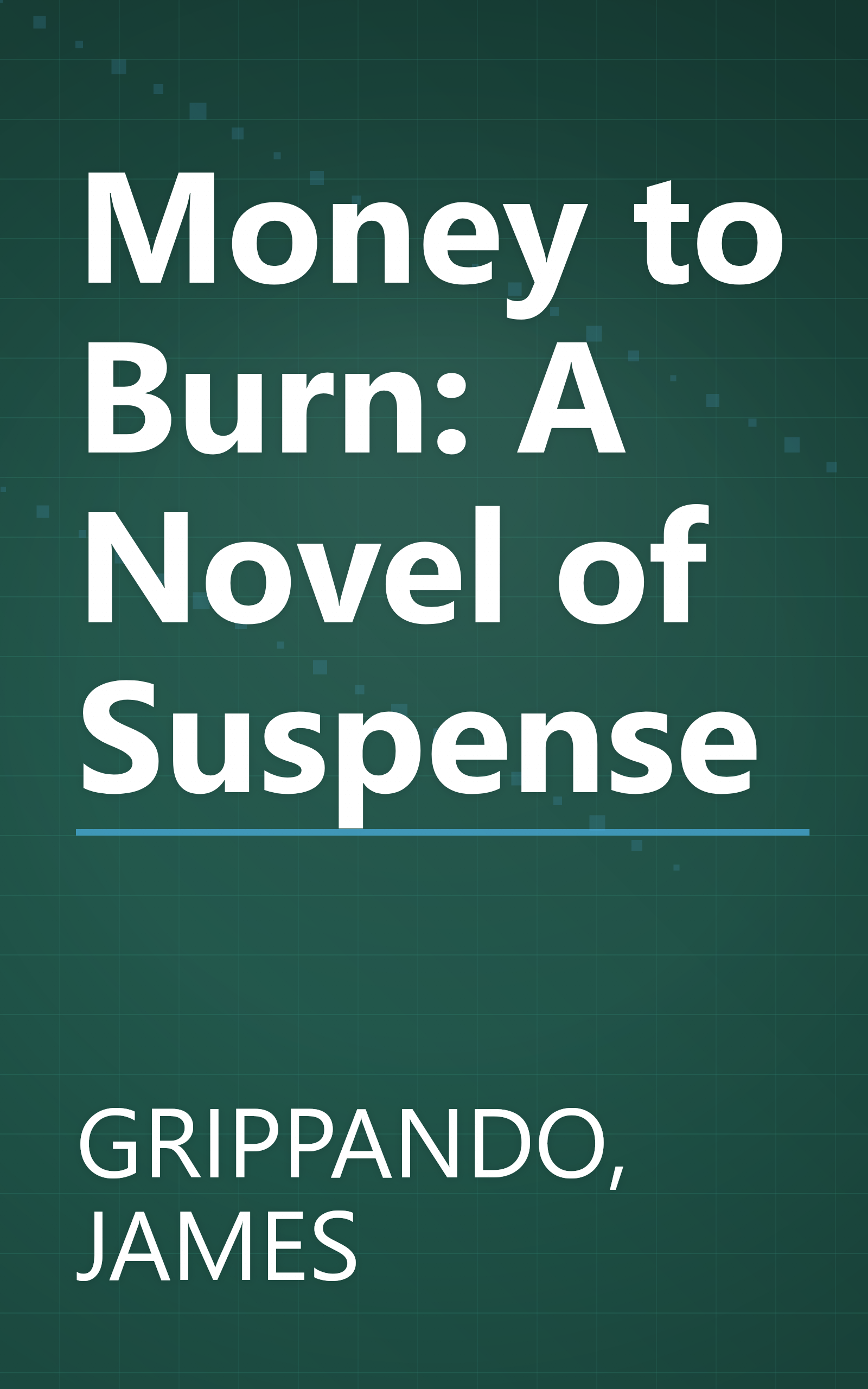 Money to Burn: A Novel of Suspense book cover