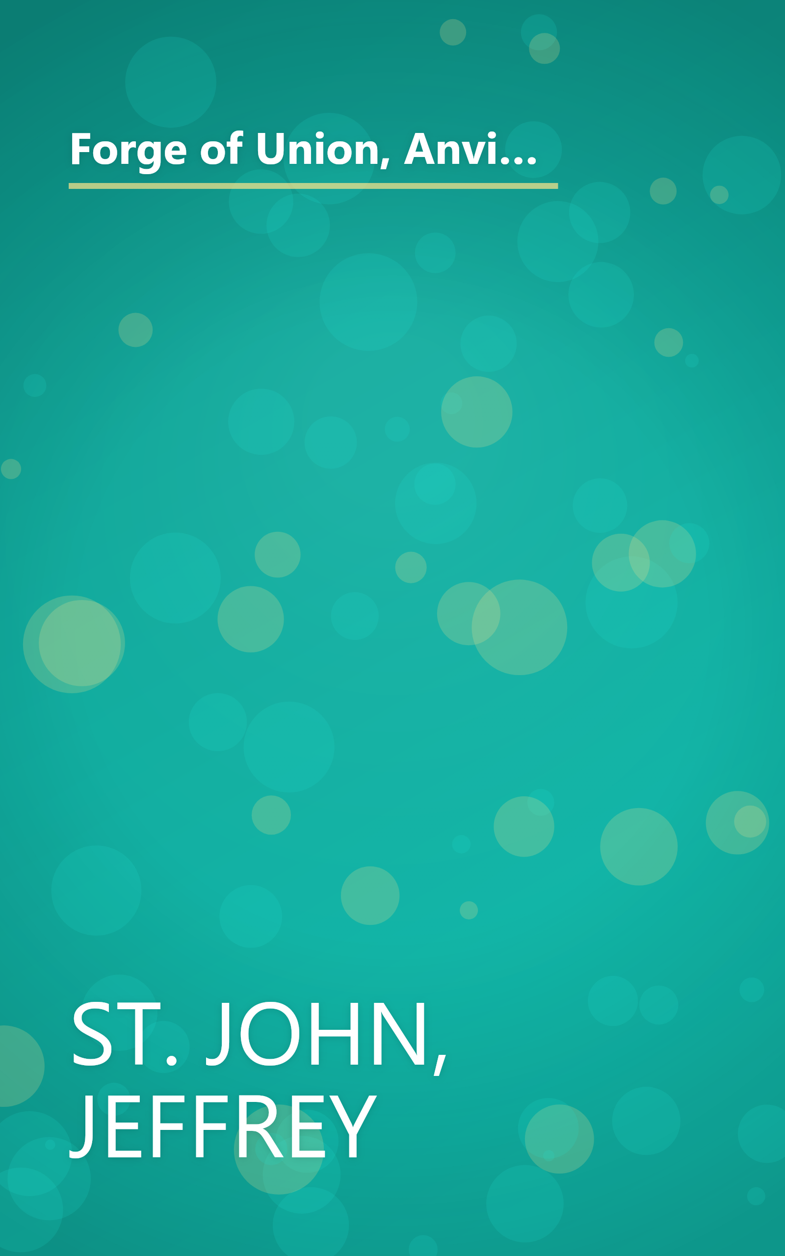 Forge of Union, Anvil of Liberty: a Correspondent's Report on the First Federal Elections, the First Federal Congress, and the Bill of Rights book cover