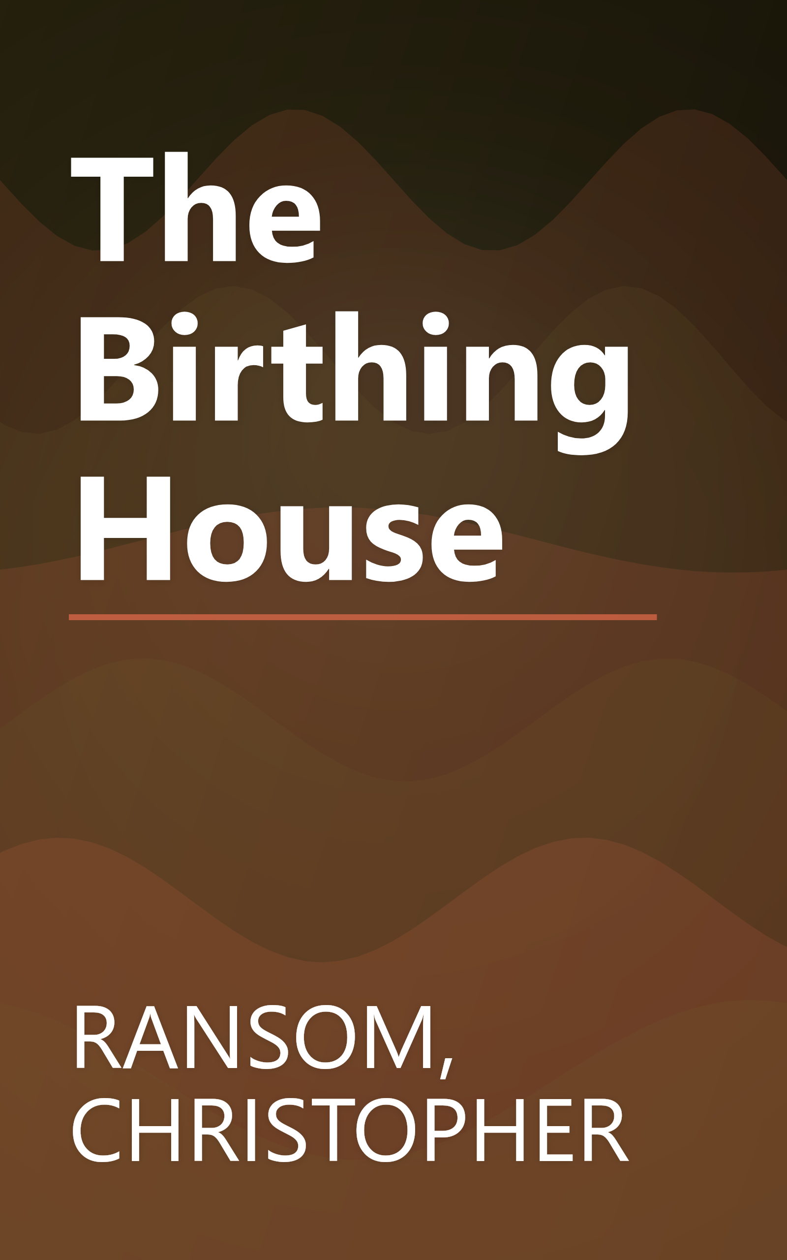 The Birthing House book cover