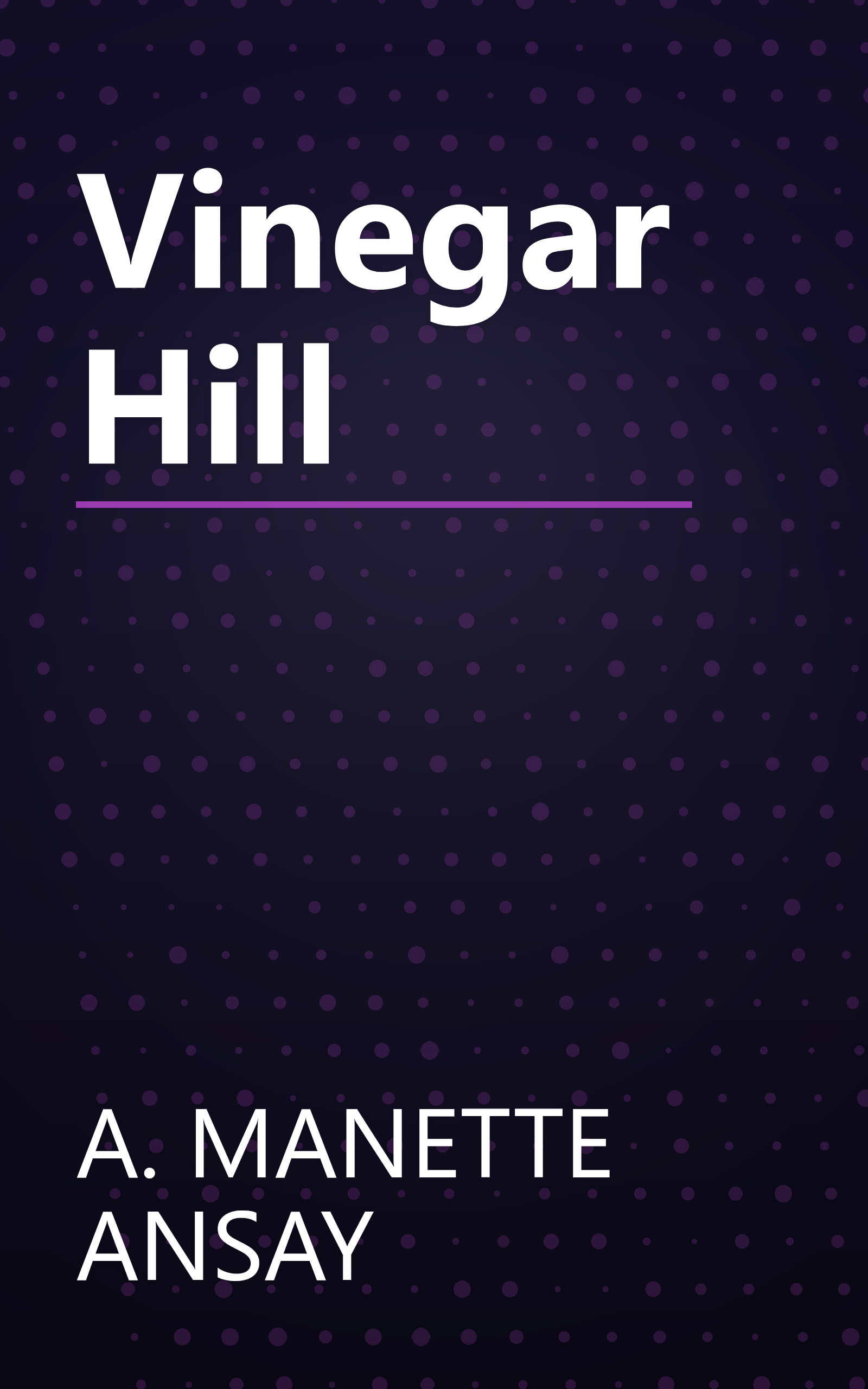 Vinegar Hill book cover