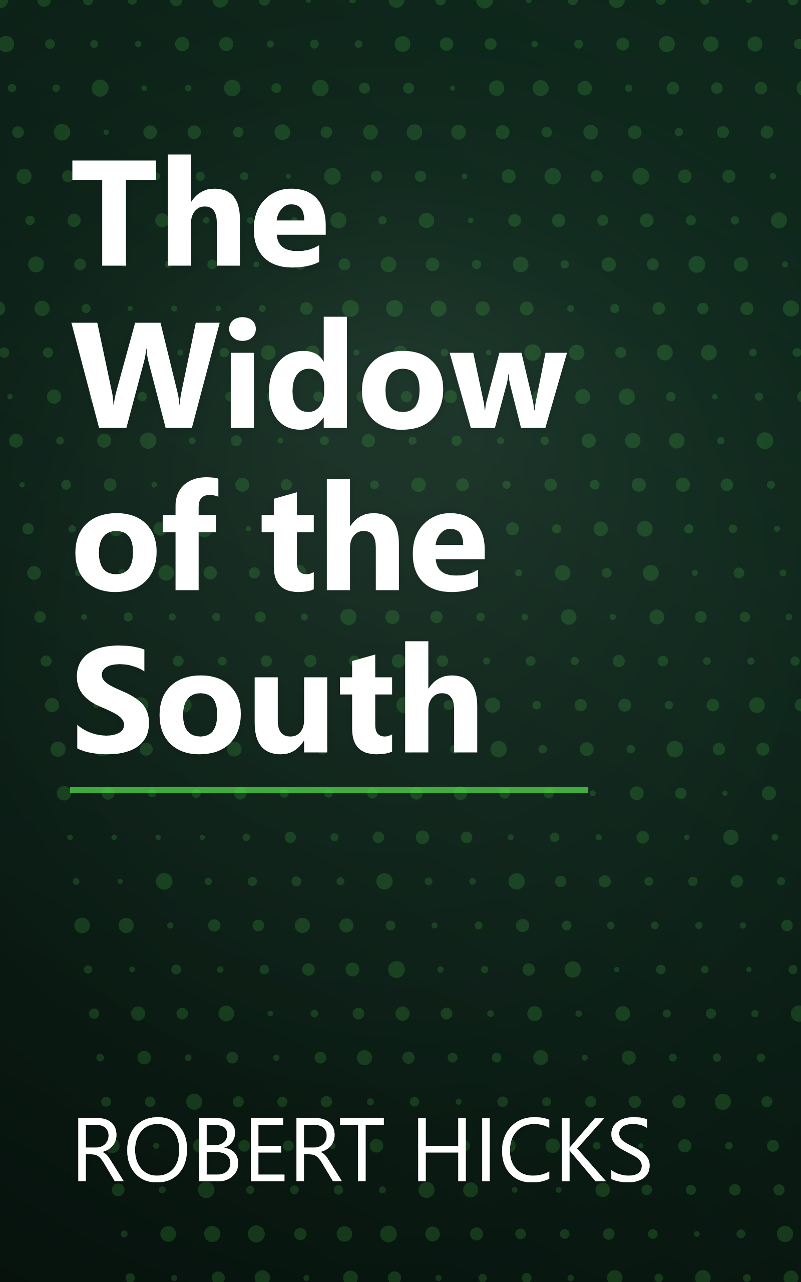The Widow of the South book cover