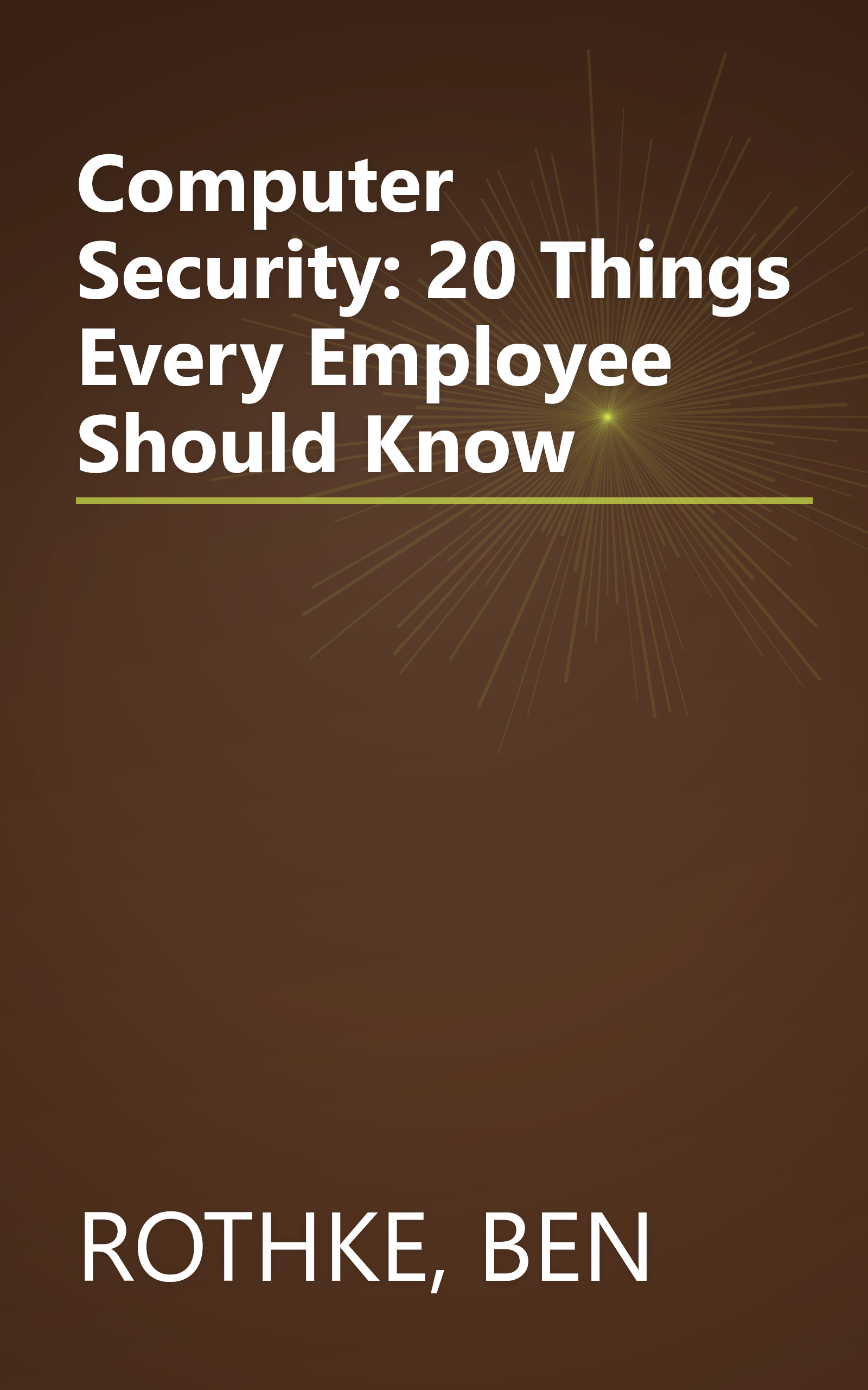 Computer Security: 20 Things Every Employee Should Know book cover