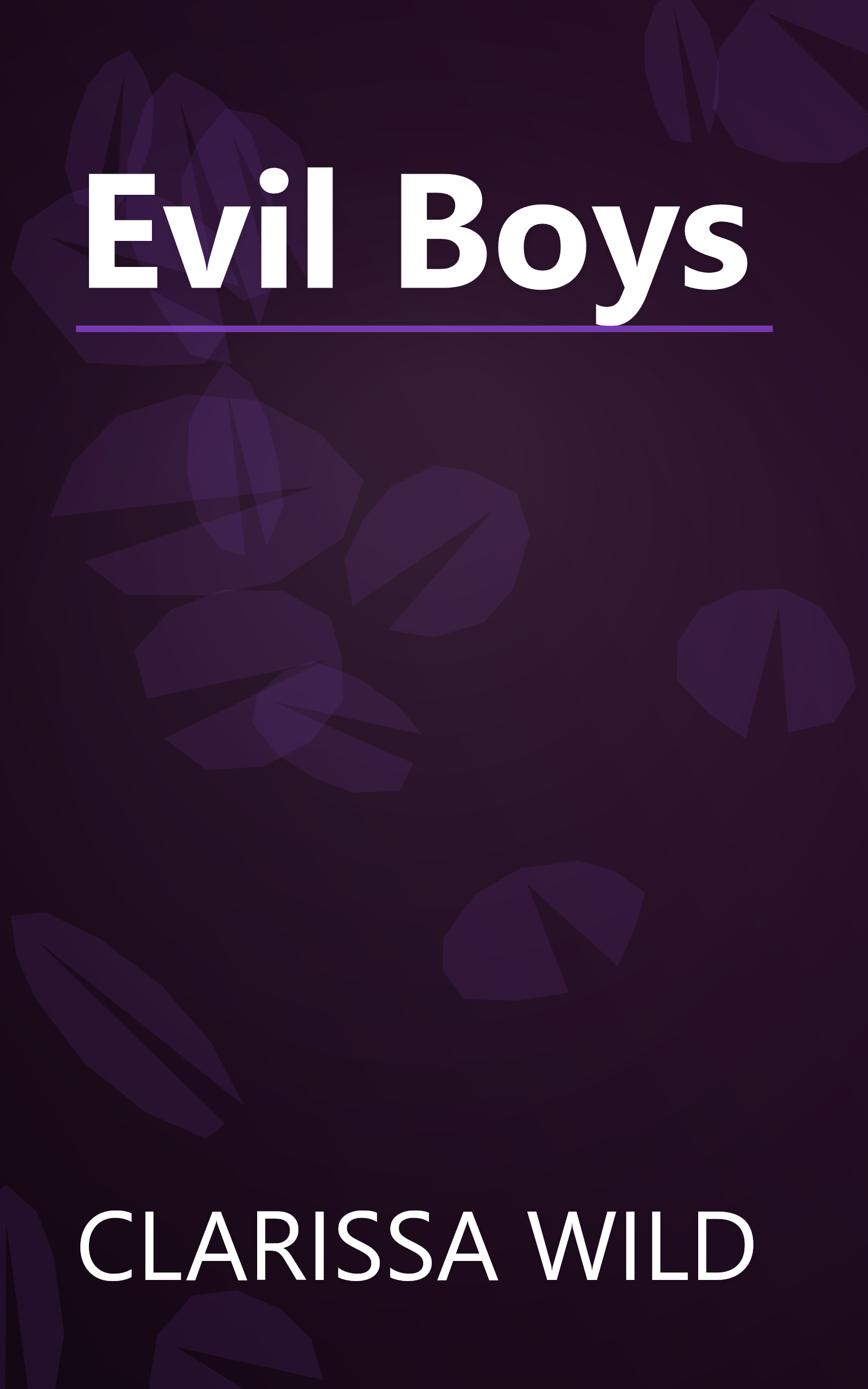 Evil Boys book cover