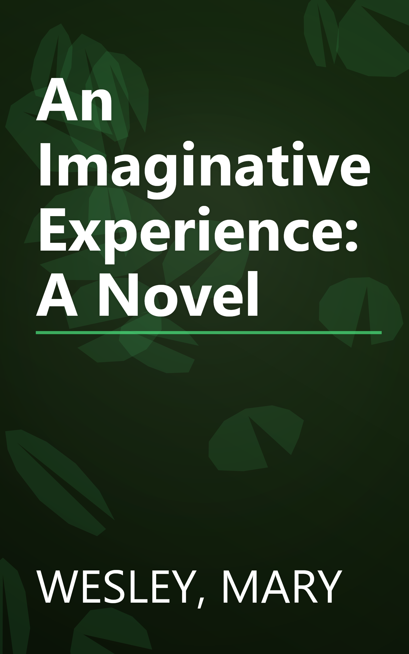 An Imaginative Experience: A Novel book cover