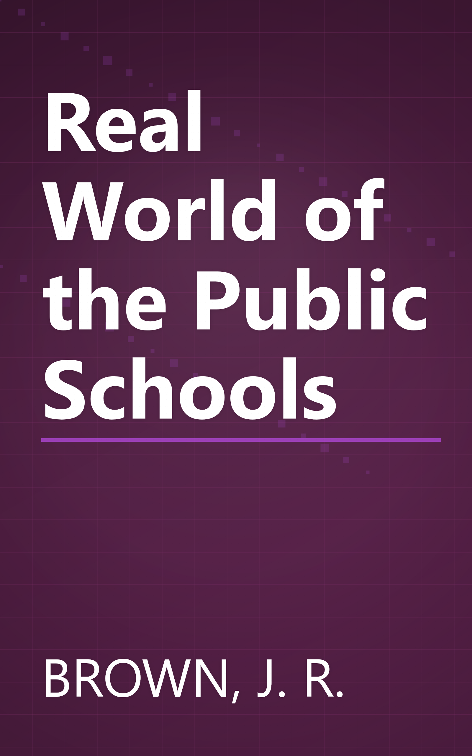 Real World of the Public Schools book cover