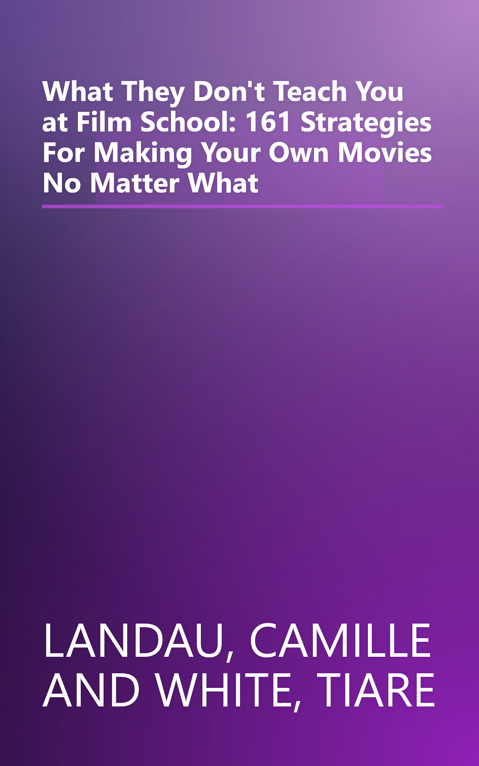 What They Don't Teach You at Film School: 161 Strategies For Making Your Own Movies No Matter What book cover