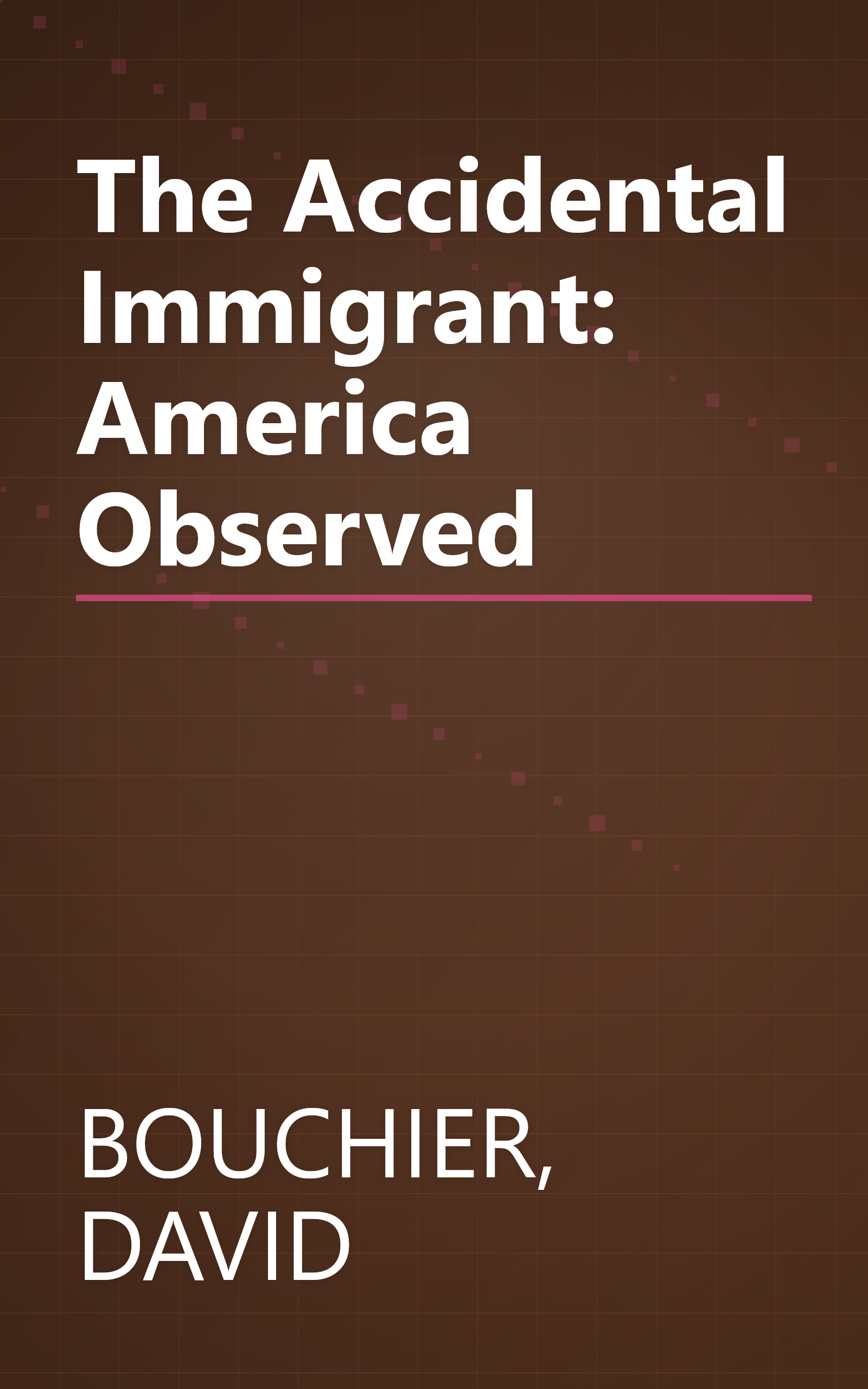 The Accidental Immigrant: America Observed book cover