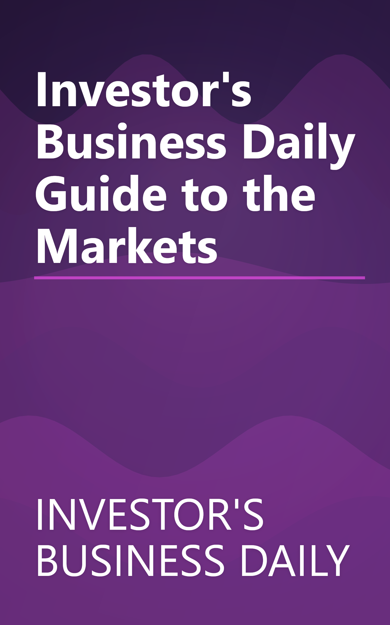 Investor's Business Daily Guide to the Markets book cover