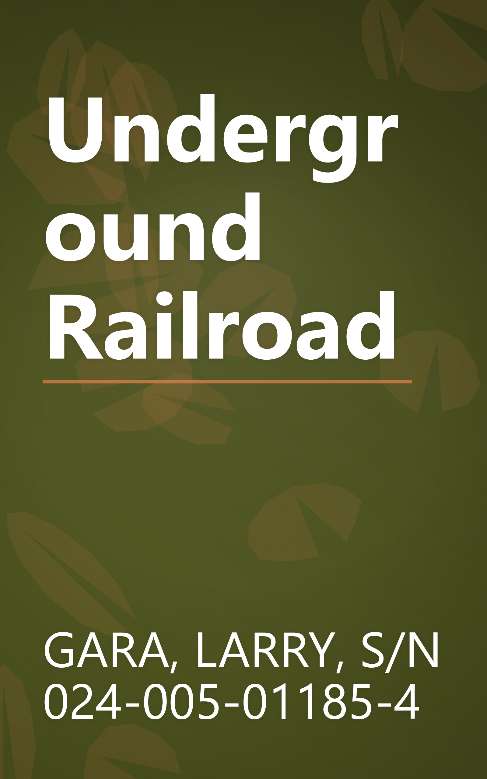 Underground Railroad book cover