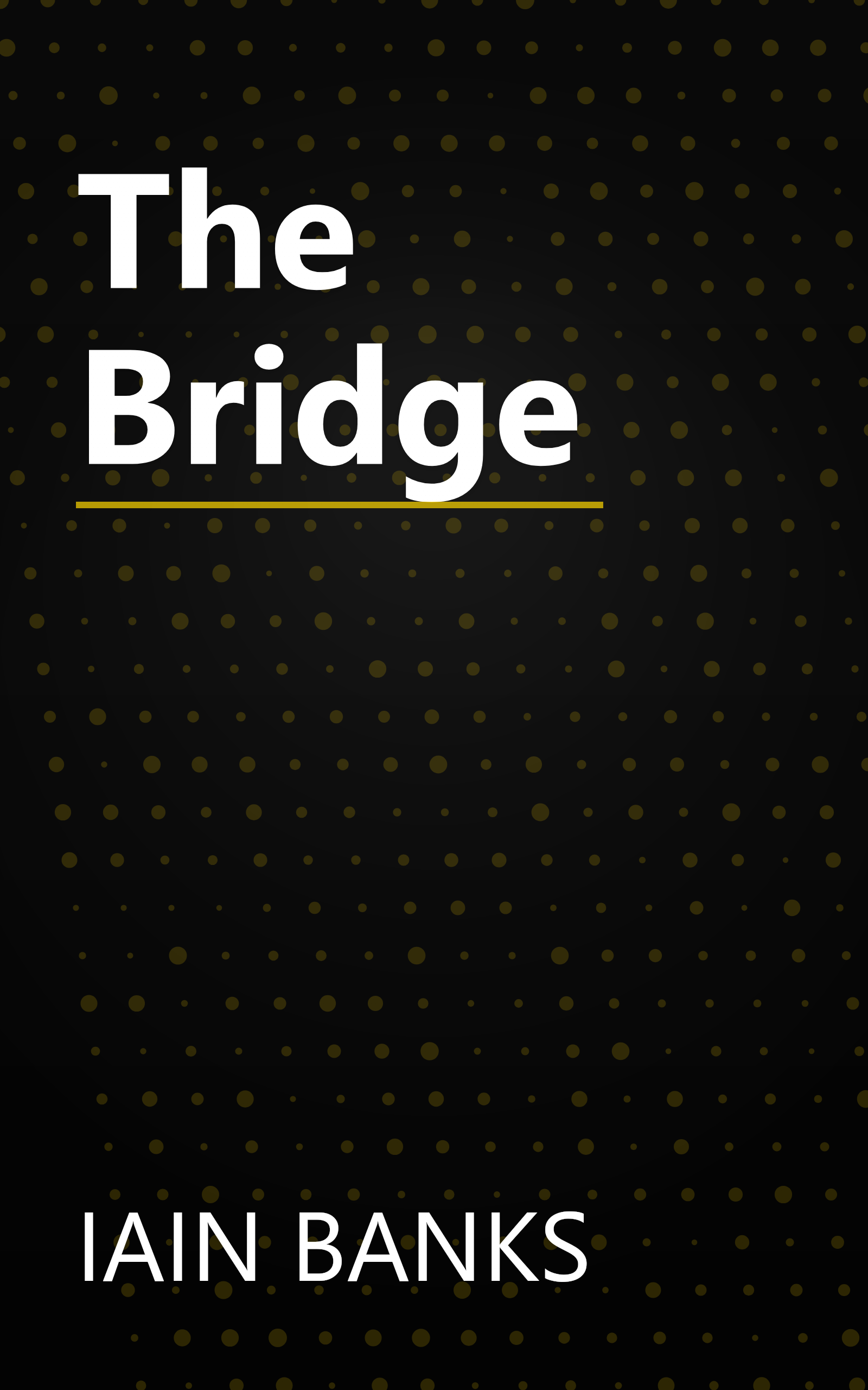 The Bridge book cover